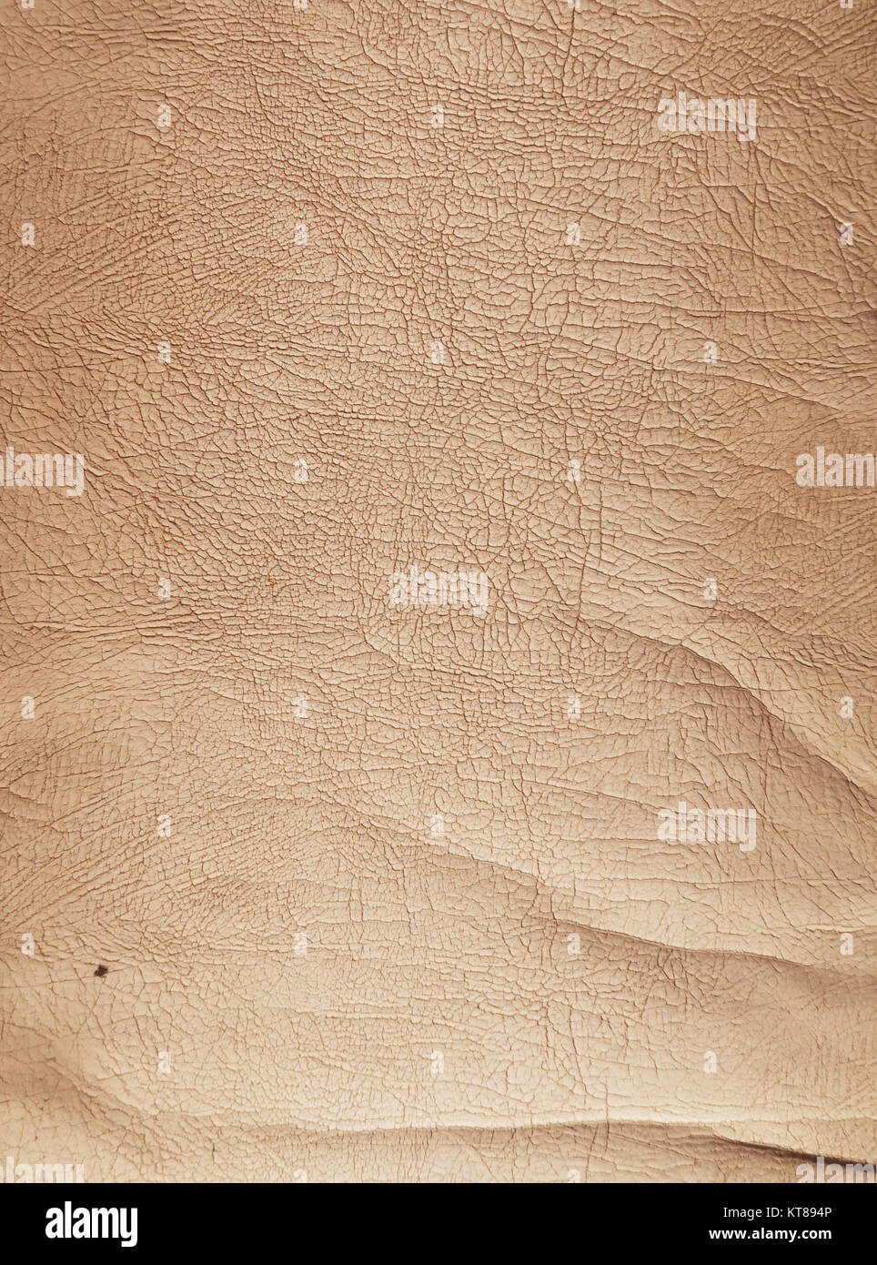 old leather texture Stock Photo - Alamy