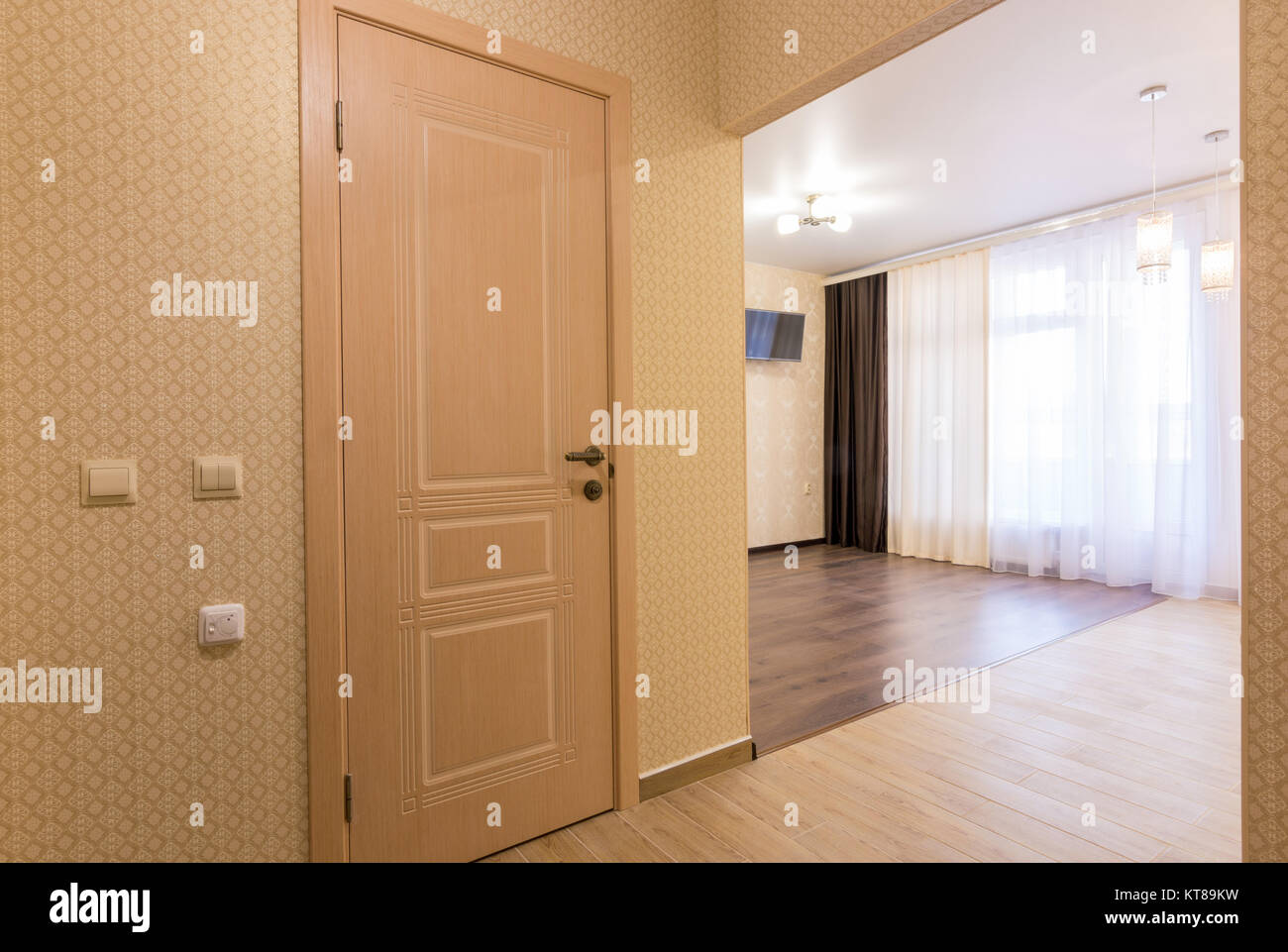 Interior studio, view from the front door to the room and the bathroom ...