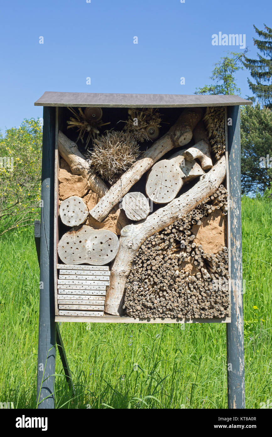 insect hotel on a meadow,blue cloudless sky Stock Photo - Alamy