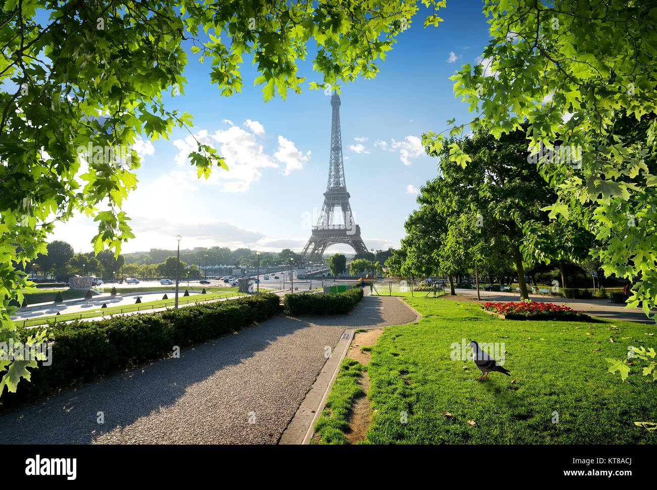 Dove and Eiffel Tower Stock Photo - Alamy