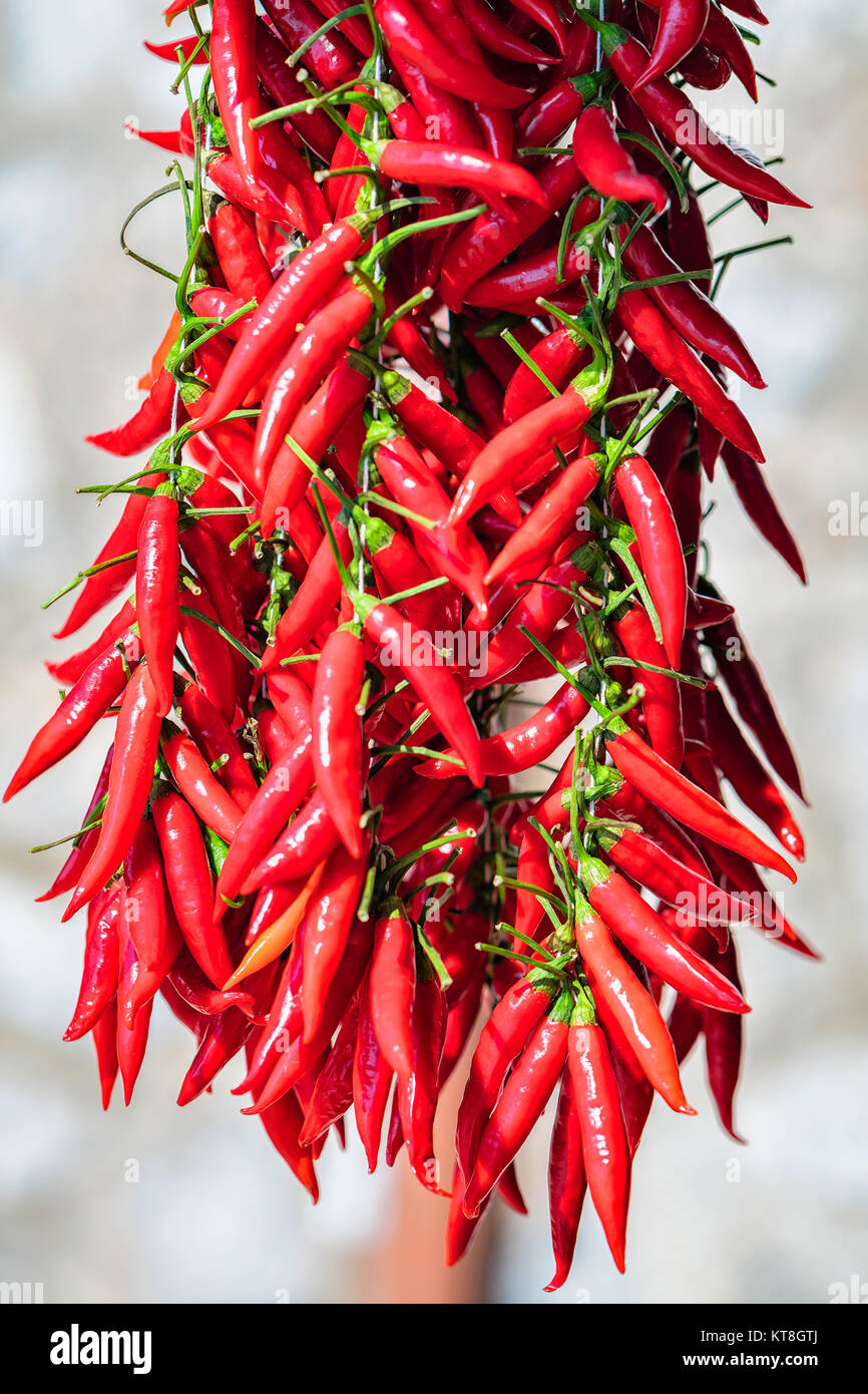 Fresh spicy red pepper on Amalfi coast, Italy Stock Photo - Alamy