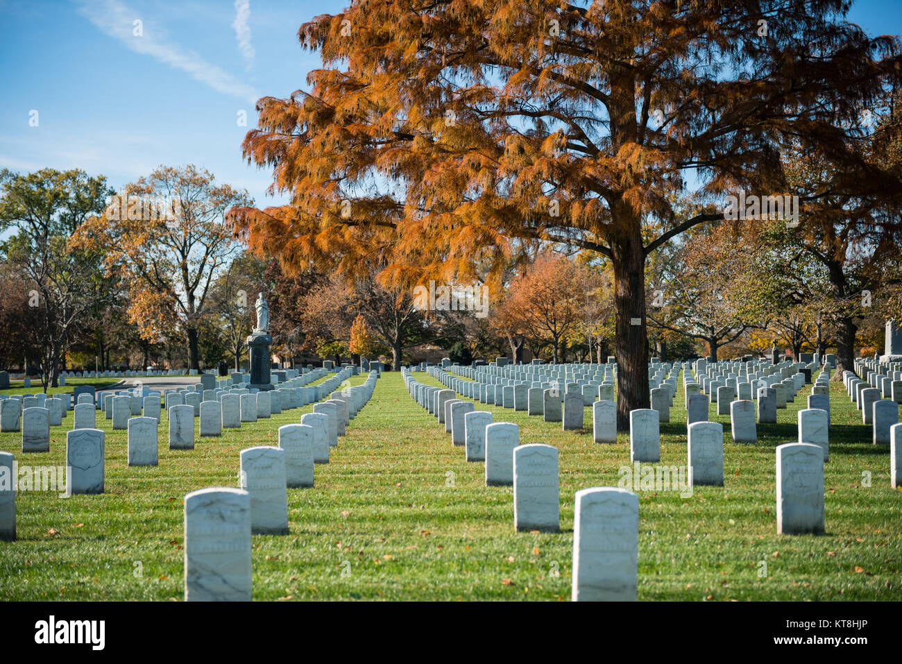 Greg Huse, urban forrester, Arlington National Cemetery, leads a tour ...