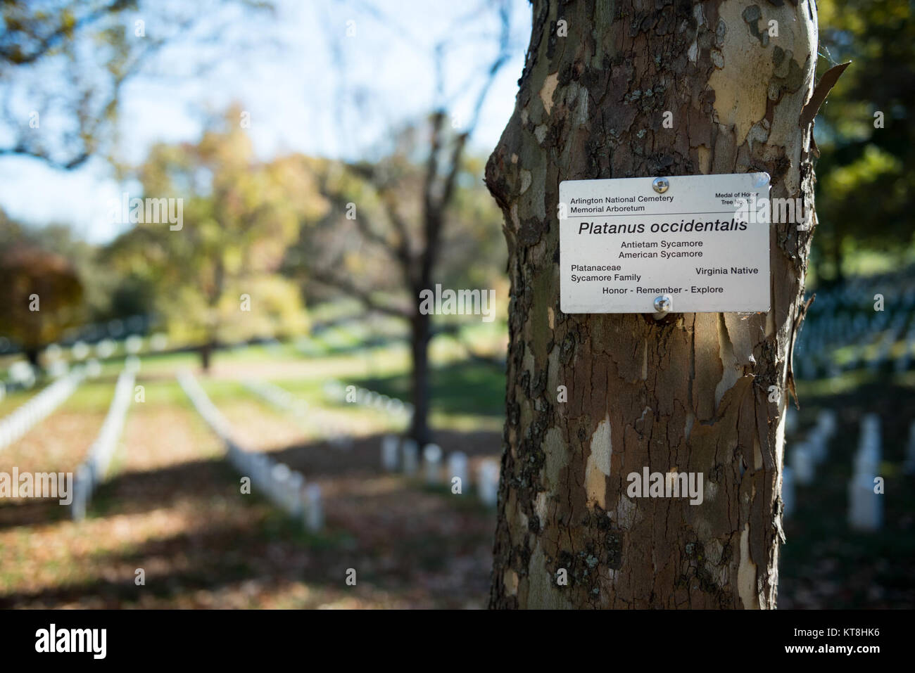 Greg Huse, urban forrester, Arlington National Cemetery, leads a tour ...