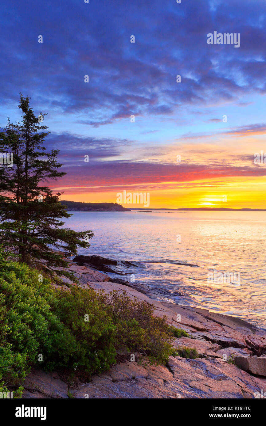 Sunrise Near Thunder Hole, The Ocean Trail, Acadia National Park, Maine ...