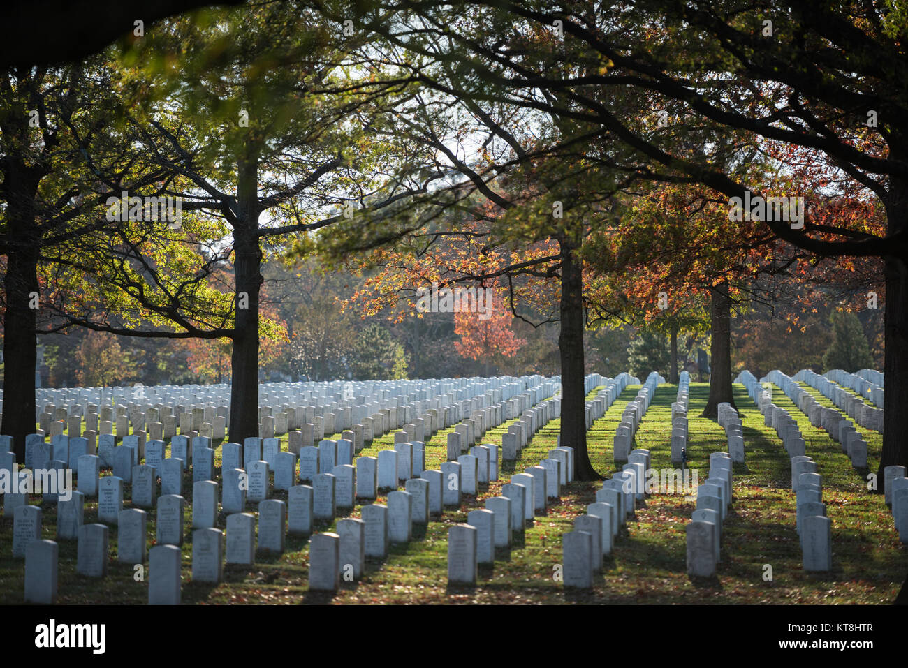 Section 65 of Arlington National Cemetery in Arlington, Virginia, was ...