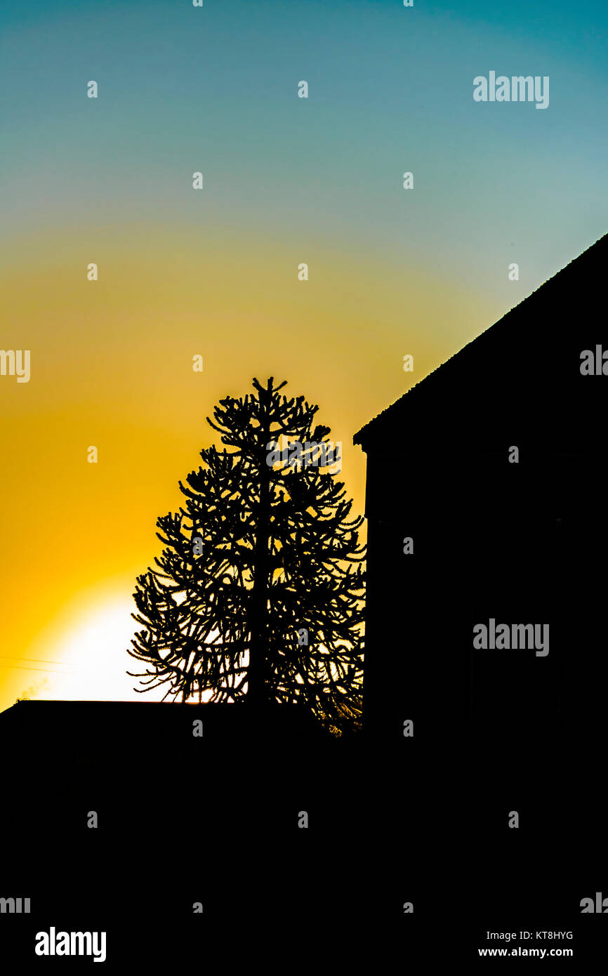 High contrast sunset landscape silhouette scene Stock Photo - Alamy