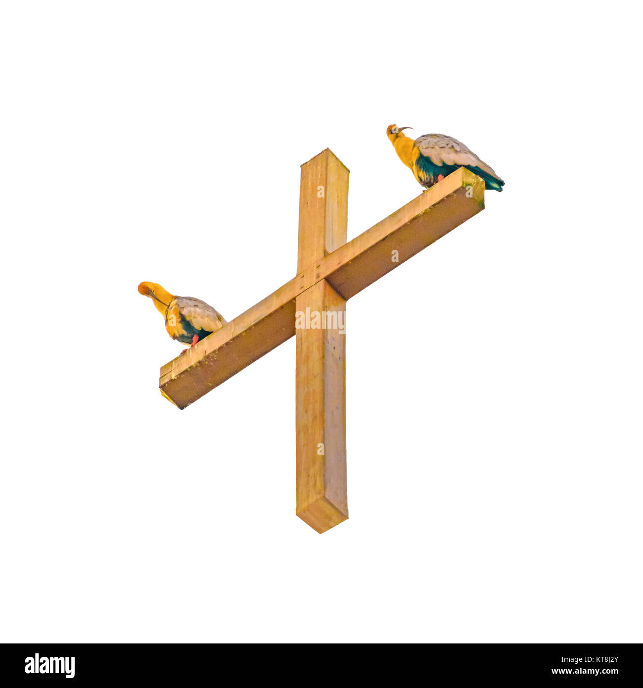 Cross birds Cut Out Stock Images & Pictures - Alamy