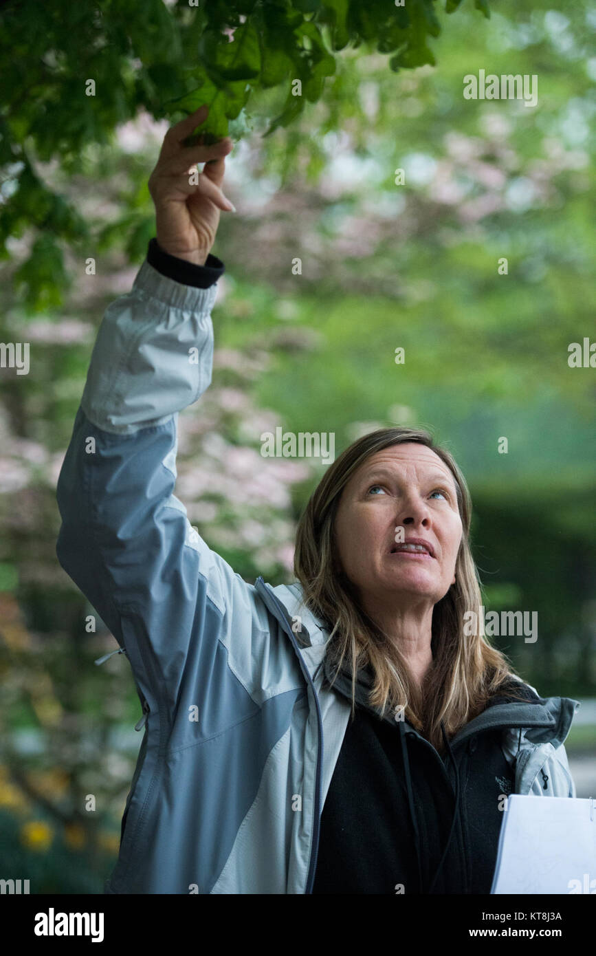 Kelly Wilson, horticulturist with Arlington National Cemetery, speaks ...