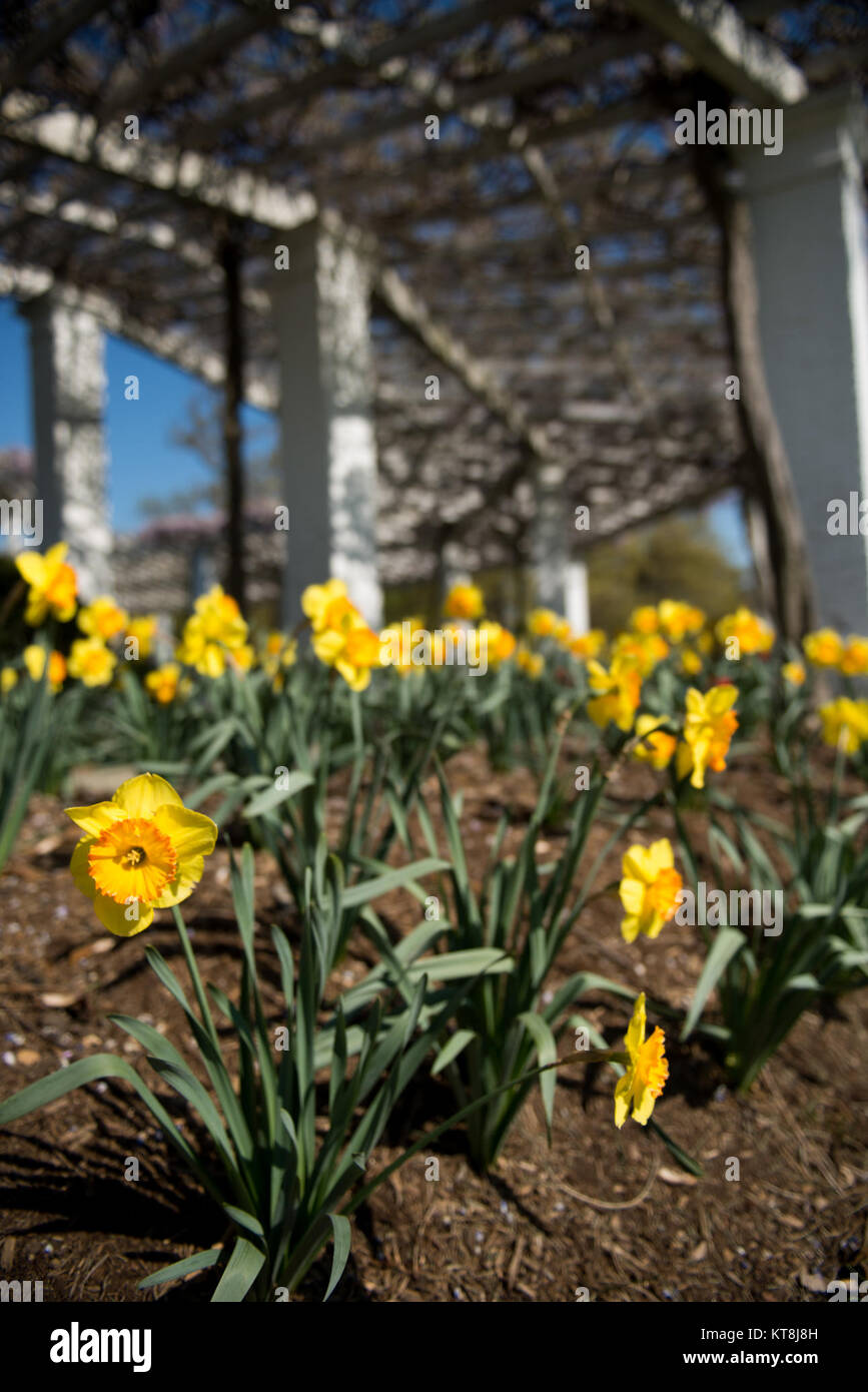 James r tanner amphitheater hi-res stock photography and images - Alamy