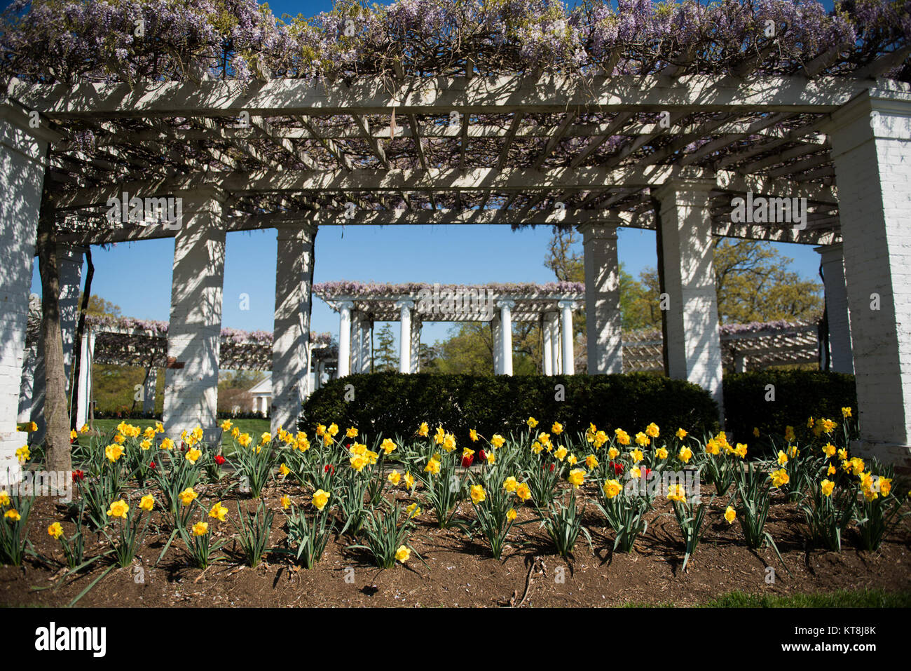 James r tanner amphitheater hi-res stock photography and images - Alamy