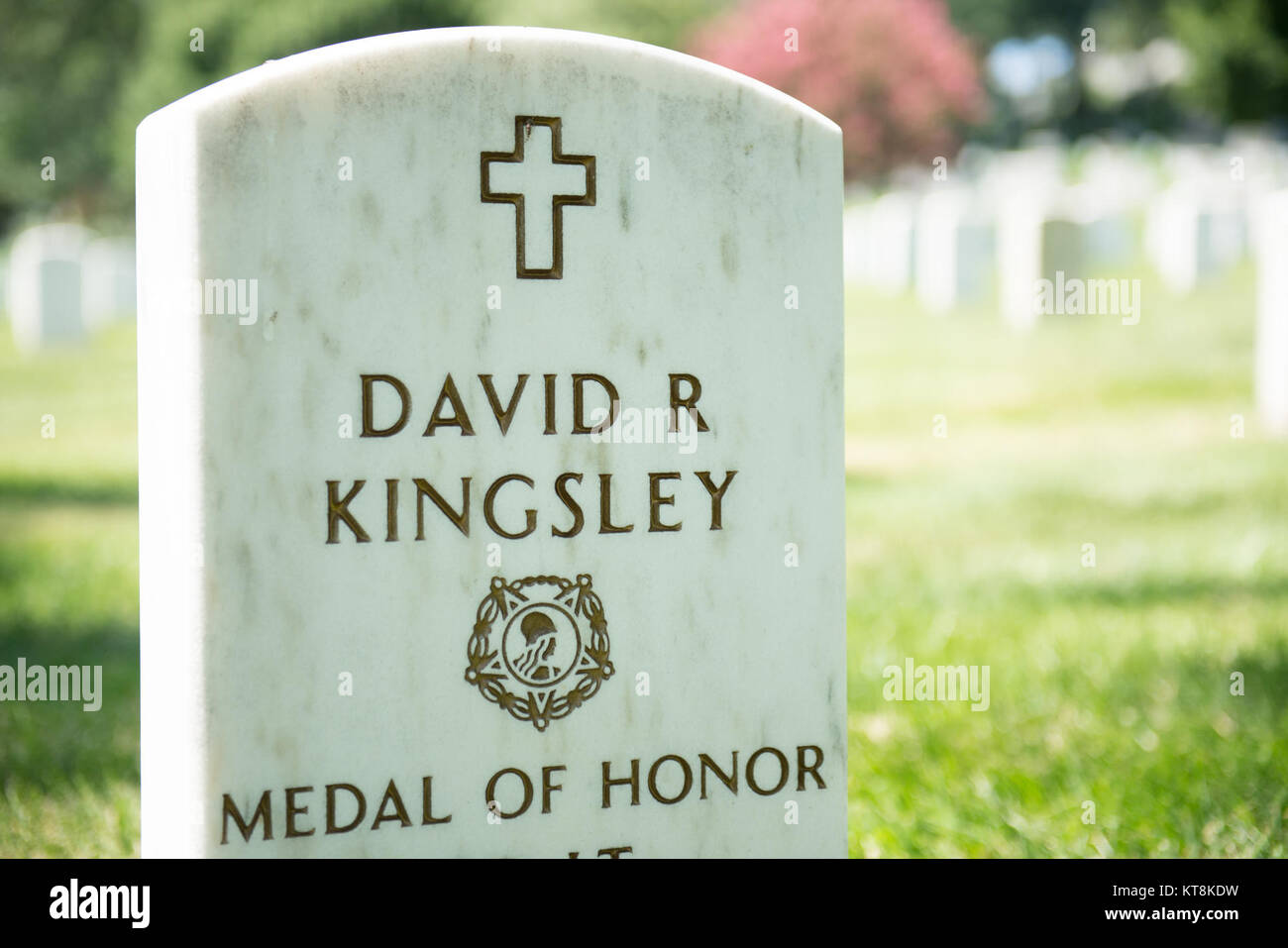 U.S. Army Air Forces 2D Lt. David R. Kingsley, born June 27, 1918 and ...