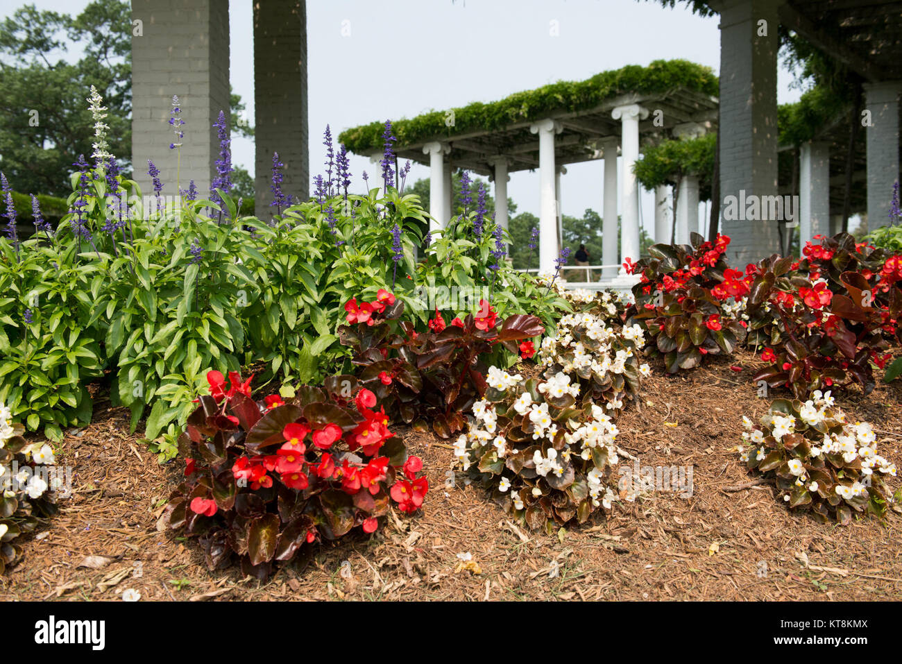 Flowers bloom in a garden near the Turner Amphitheater in Arlington ...