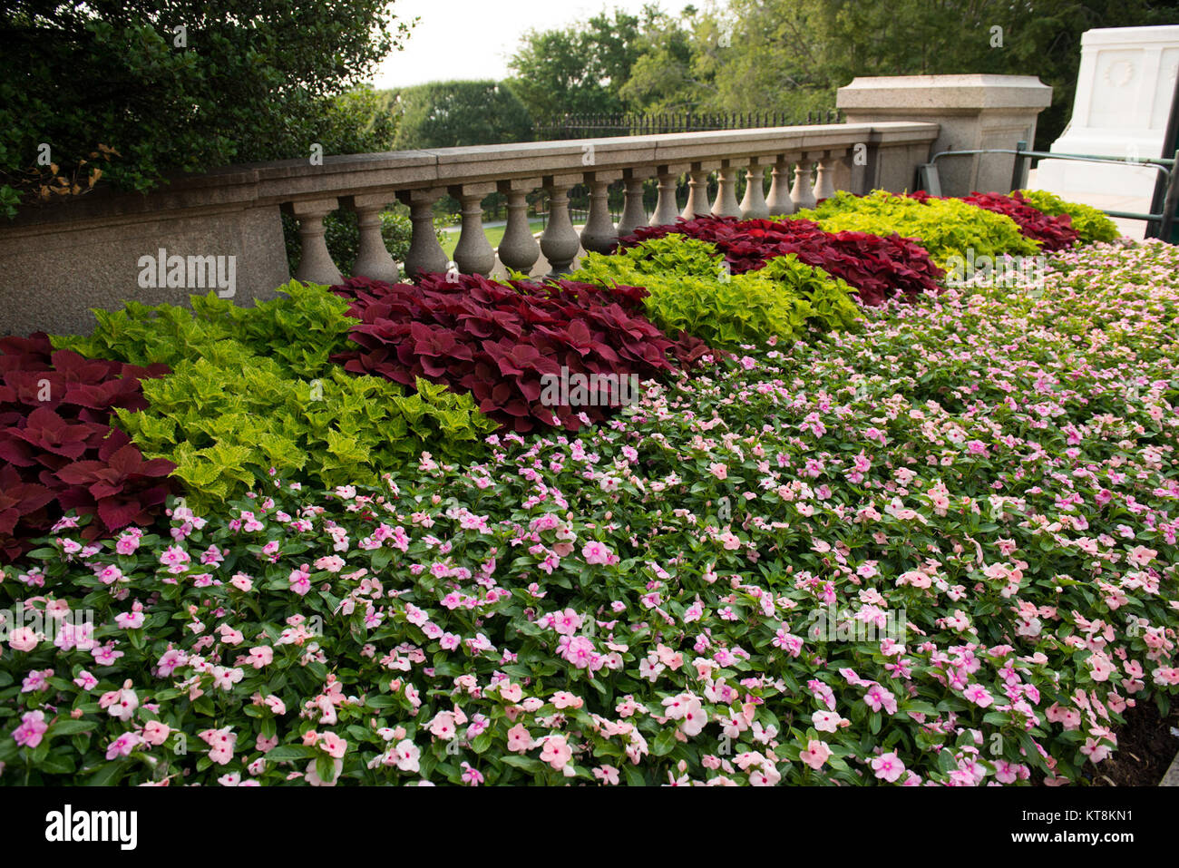 Flowers bloom in a garden near the Tomb of the Unknown Soldier at ...