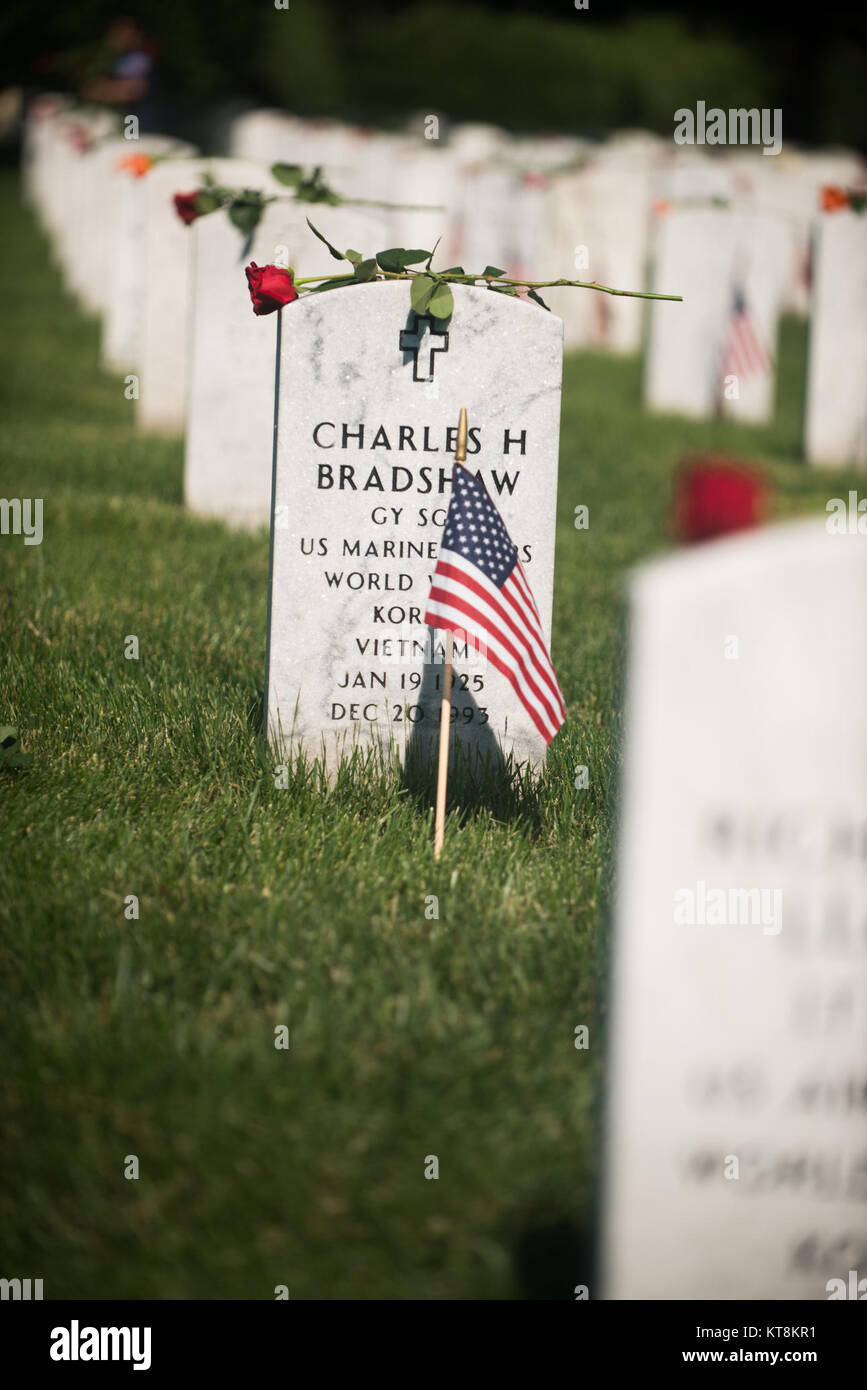 Section 60 arlington 2015 hi-res stock photography and images - Alamy