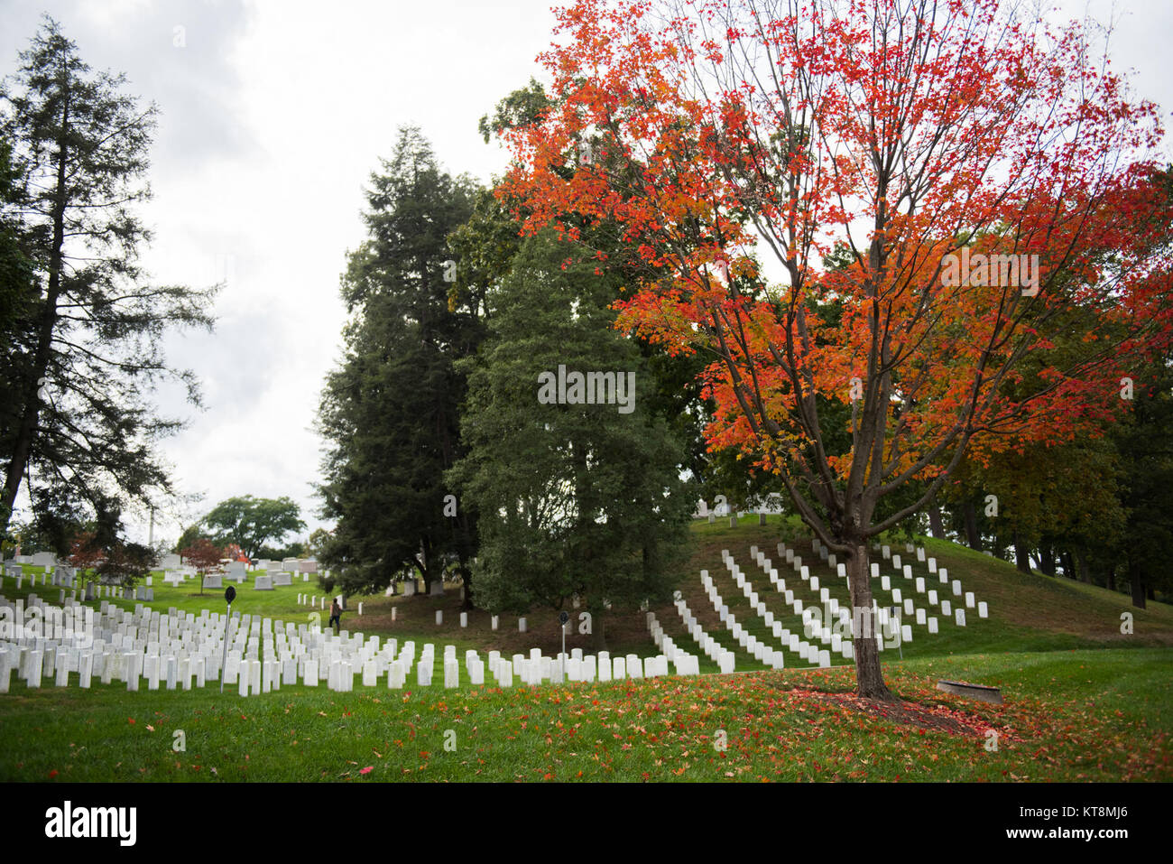 A visitor explores the Memorial Sections of Arlington National Cemetery ...