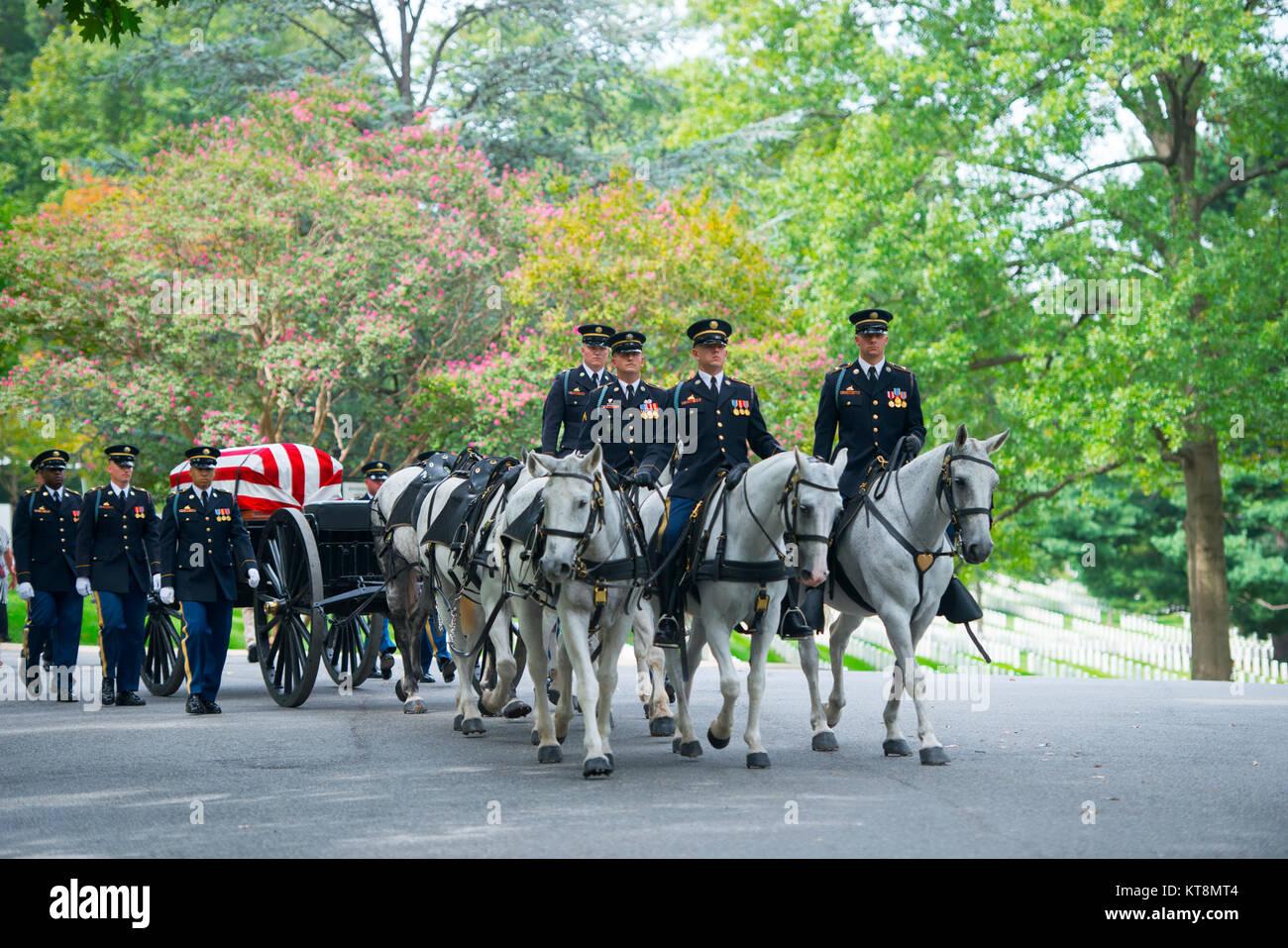 Members of the 3d U.S. Infantry Regiment (The Old Guard) Caisson ...