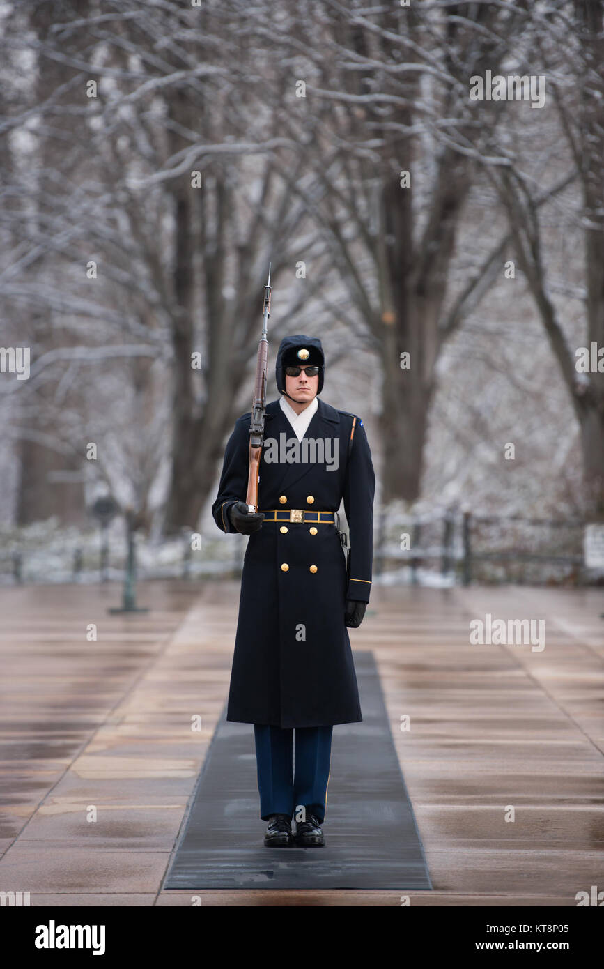 Tomb Sentinels, part of the 3d U.S. Infantry Regiment (The Old Guard ...