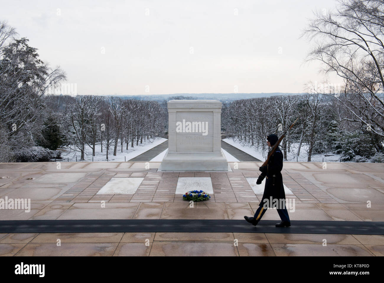 Tomb Sentinels, part of the 3d U.S. Infantry Regiment (The Old Guard ...