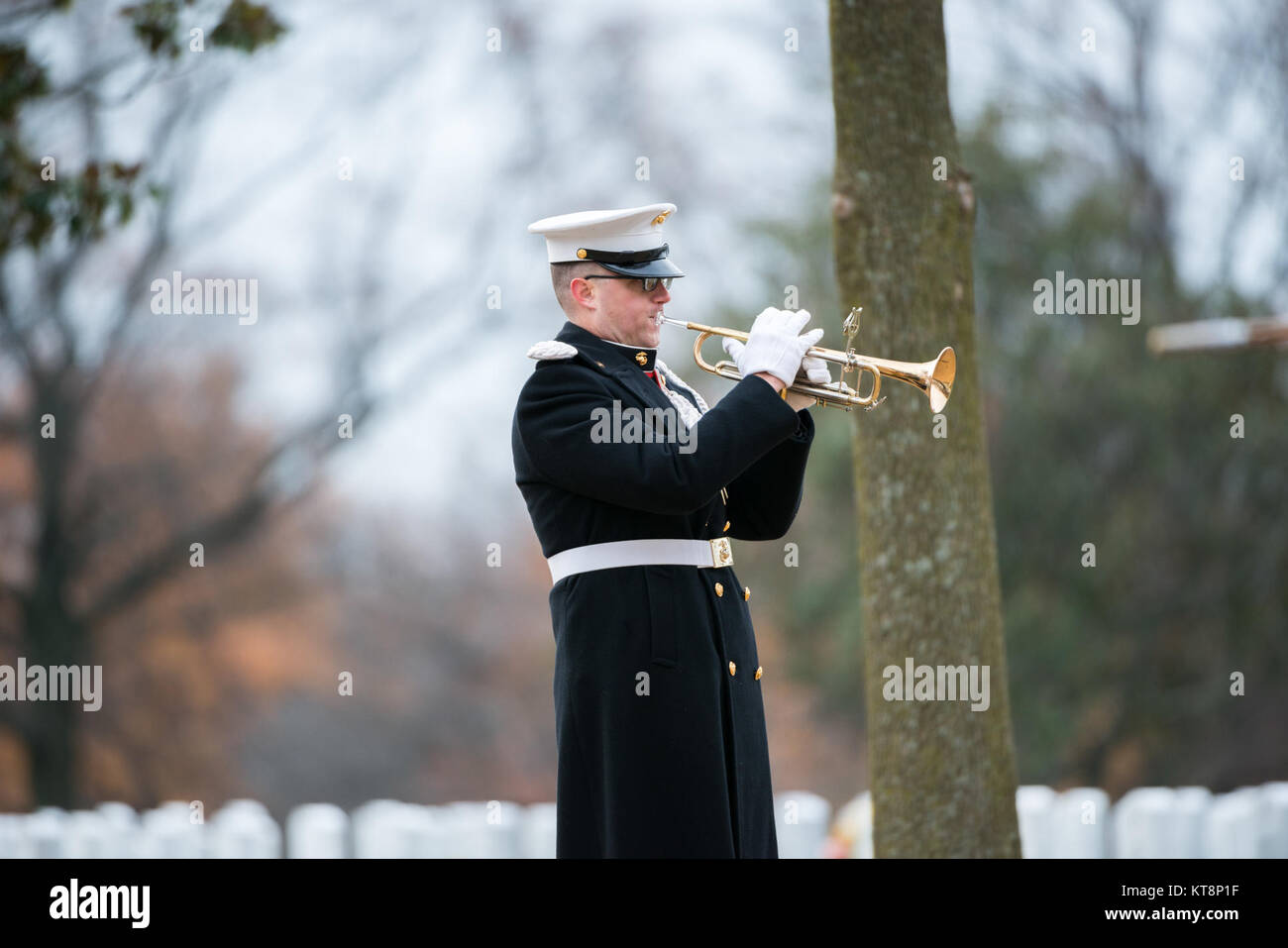 A full honors funeral was held at Arlington National Cemetery on ...