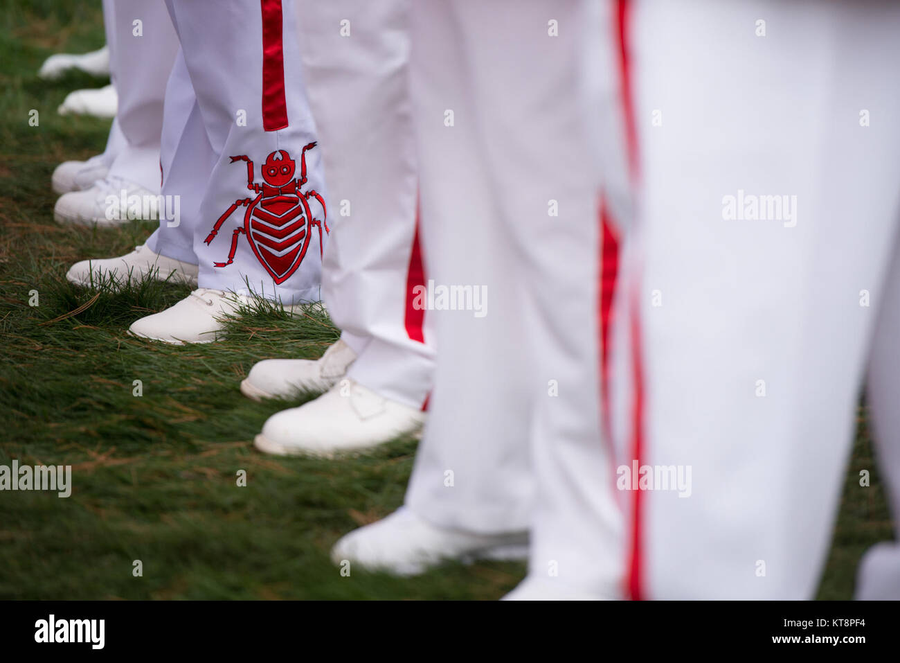 Members of the United States Military Order of the Cootie, “The Honor ...