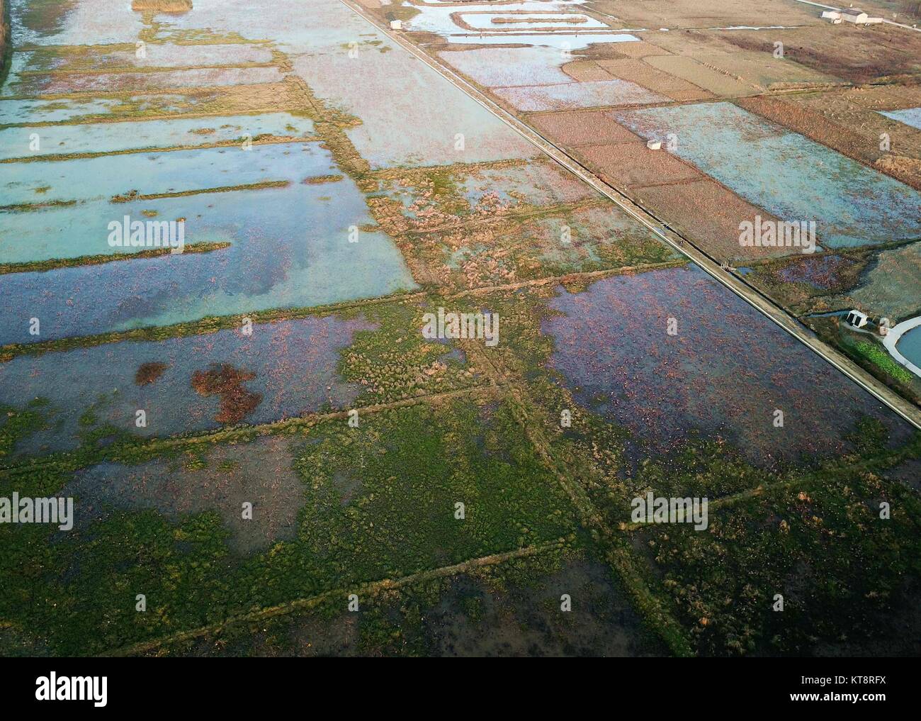 Anlong, Anlong, China. 21st Dec, 2017. Anlong, CHINA-21st December 2017 ...