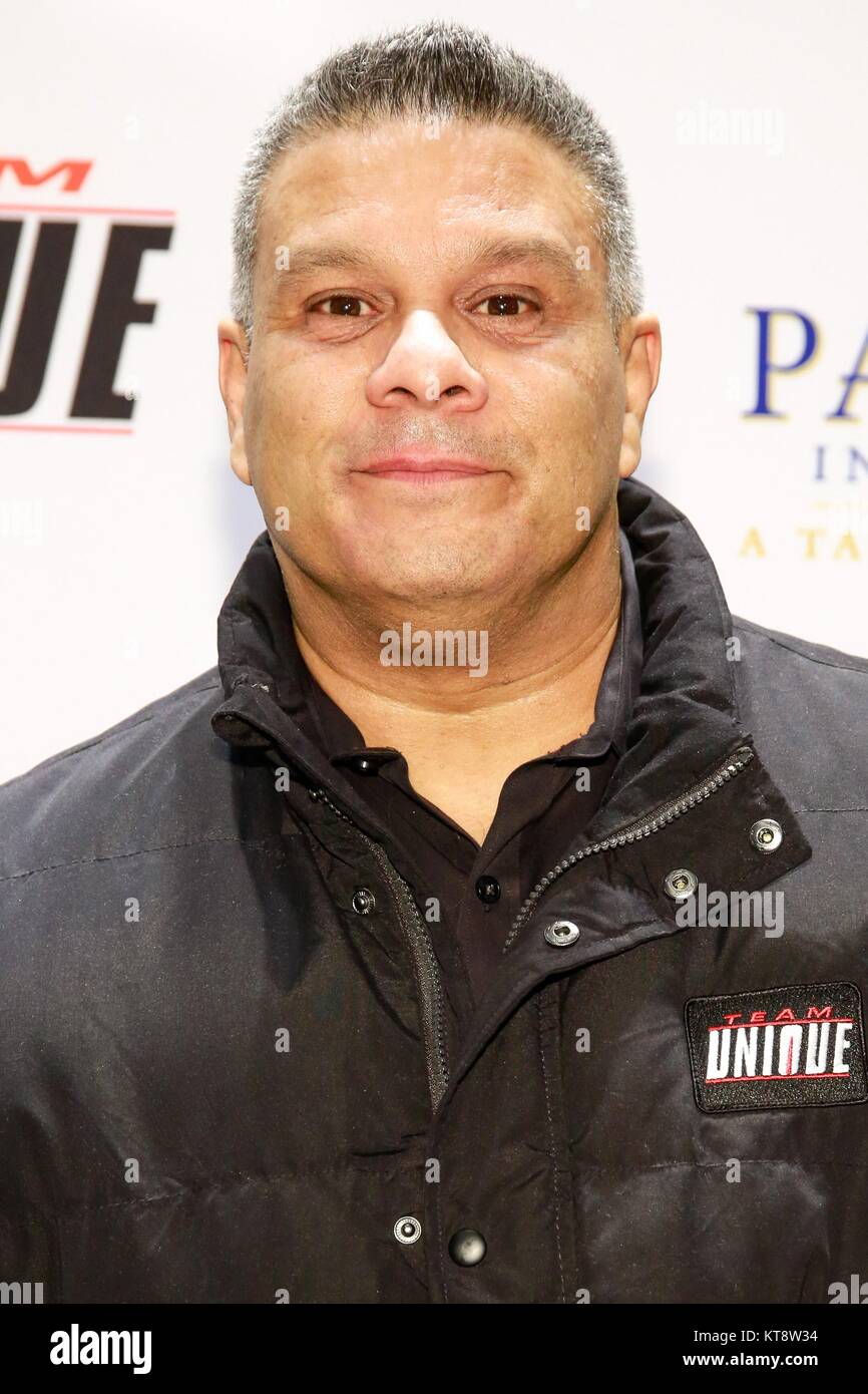 New York, NY, USA. 19th Dec, 2017. Will Castro at arrivals for Velocity ...