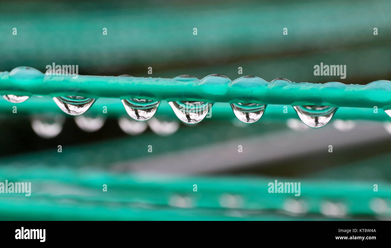 Water droplets on green clothes line hi-res stock photography and ...