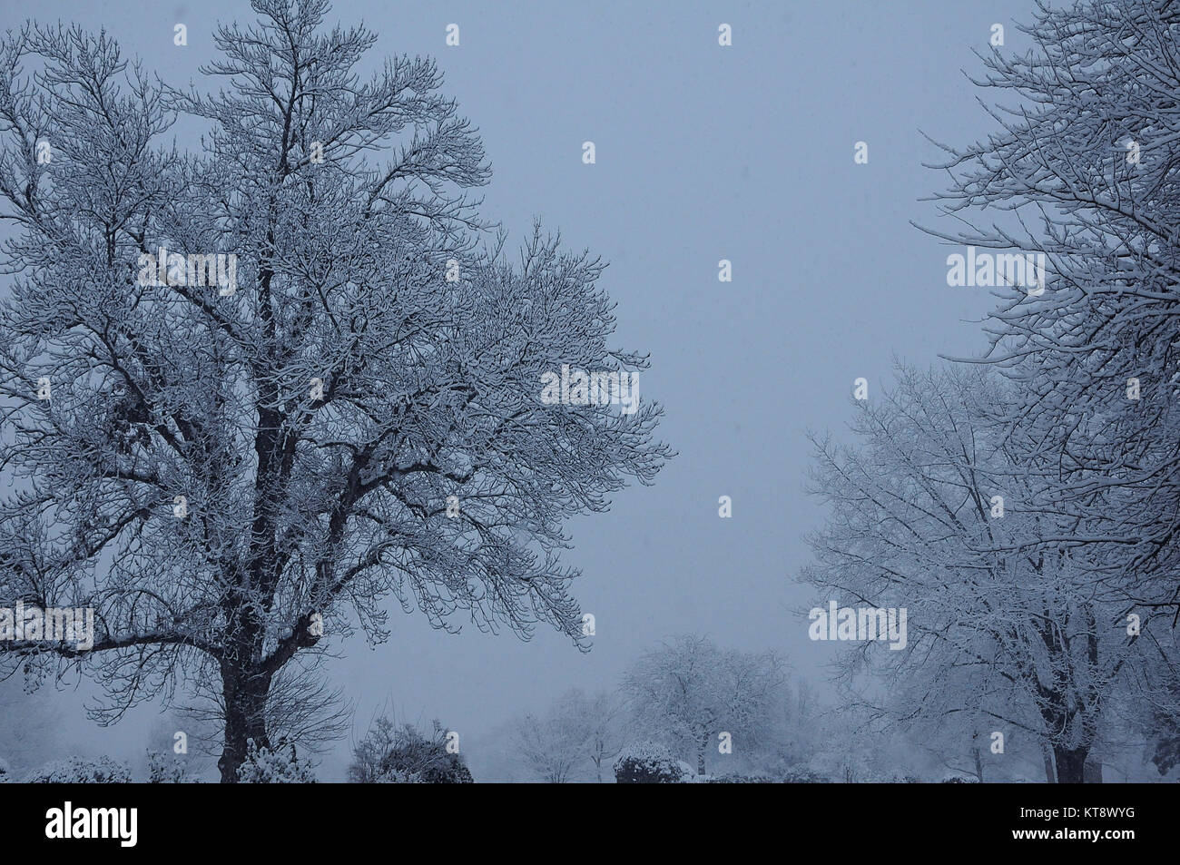 Lewiston, Idaho, USA. 22nd Dec, 2017. Heavy snow fall and may be early ...