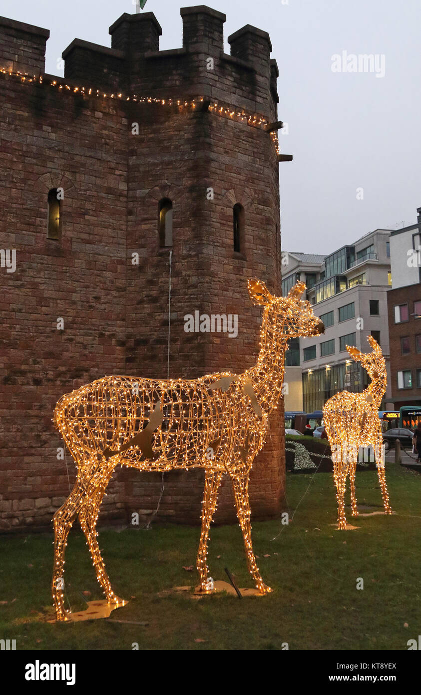 Cardiff castle christmas tree hi-res stock photography and images - Alamy