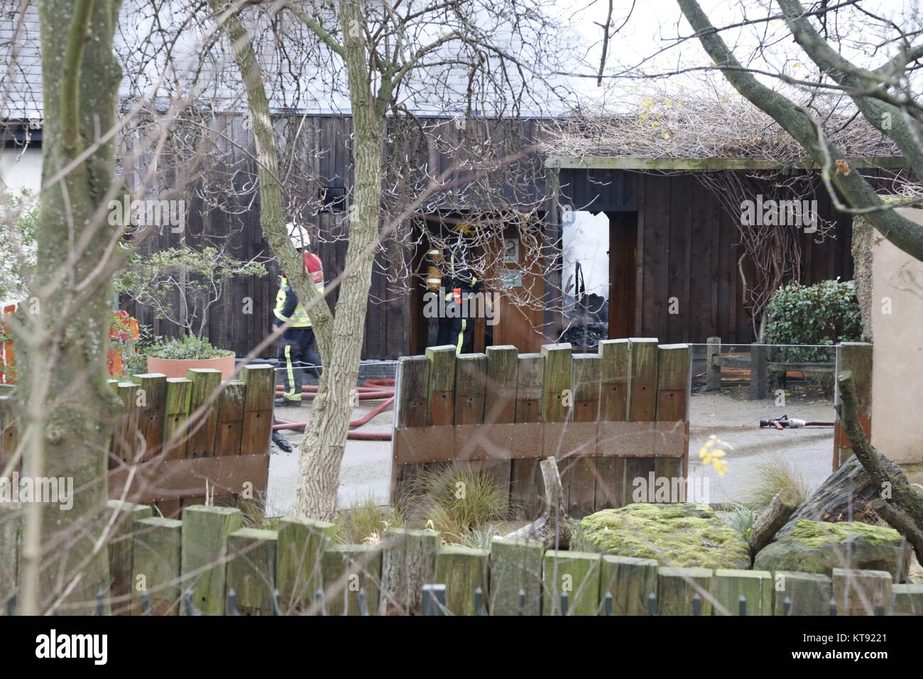 London, UK. 23rd Dec, 2017. London Zoo Fire where 70 firefighters ...