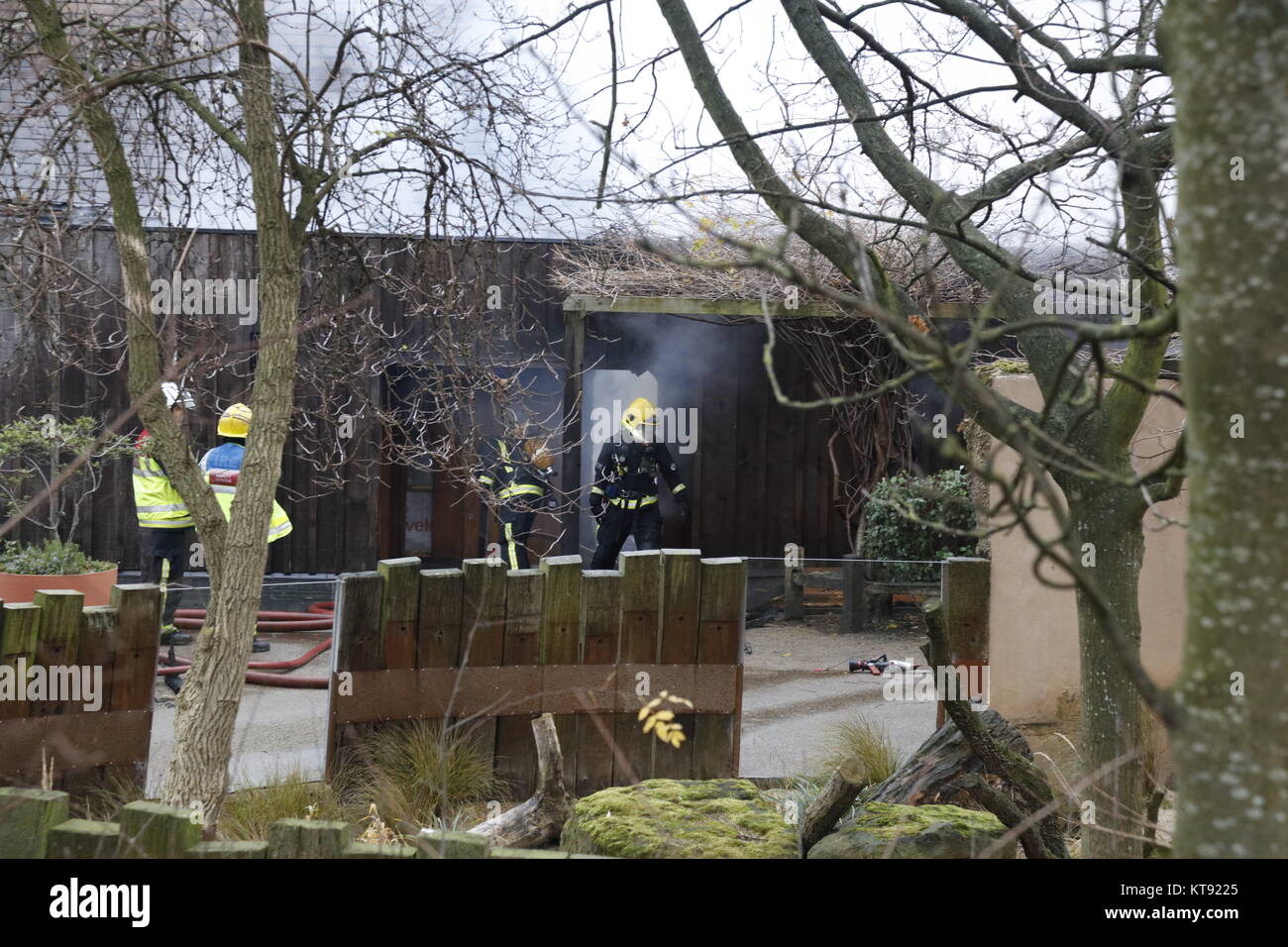 London, UK. 23rd Dec, 2017. London Zoo Fire where 70 firefighters ...