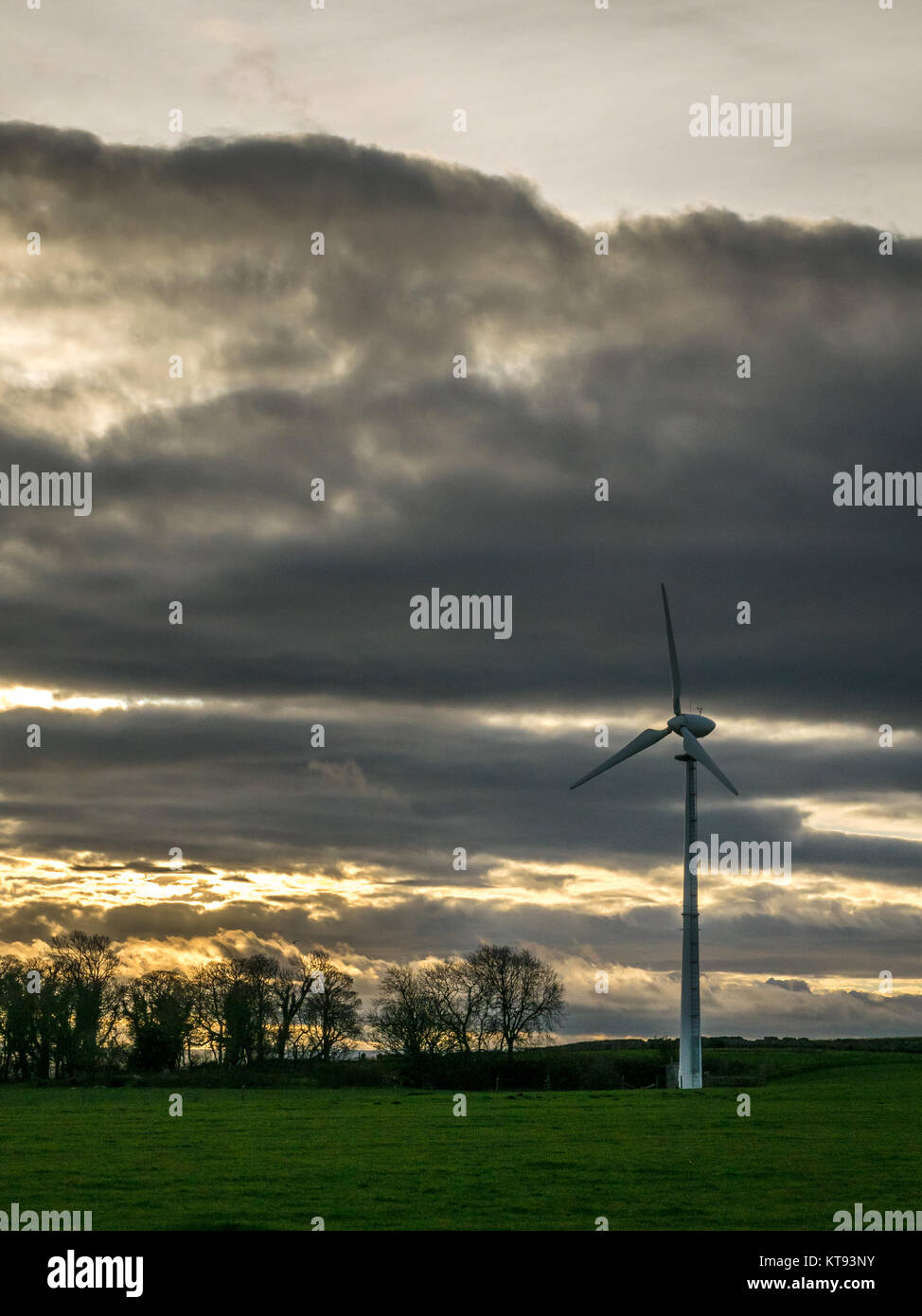 East Lothian, Scotland, United Kingdom. 23rd Dec, 2017. A very windy ...