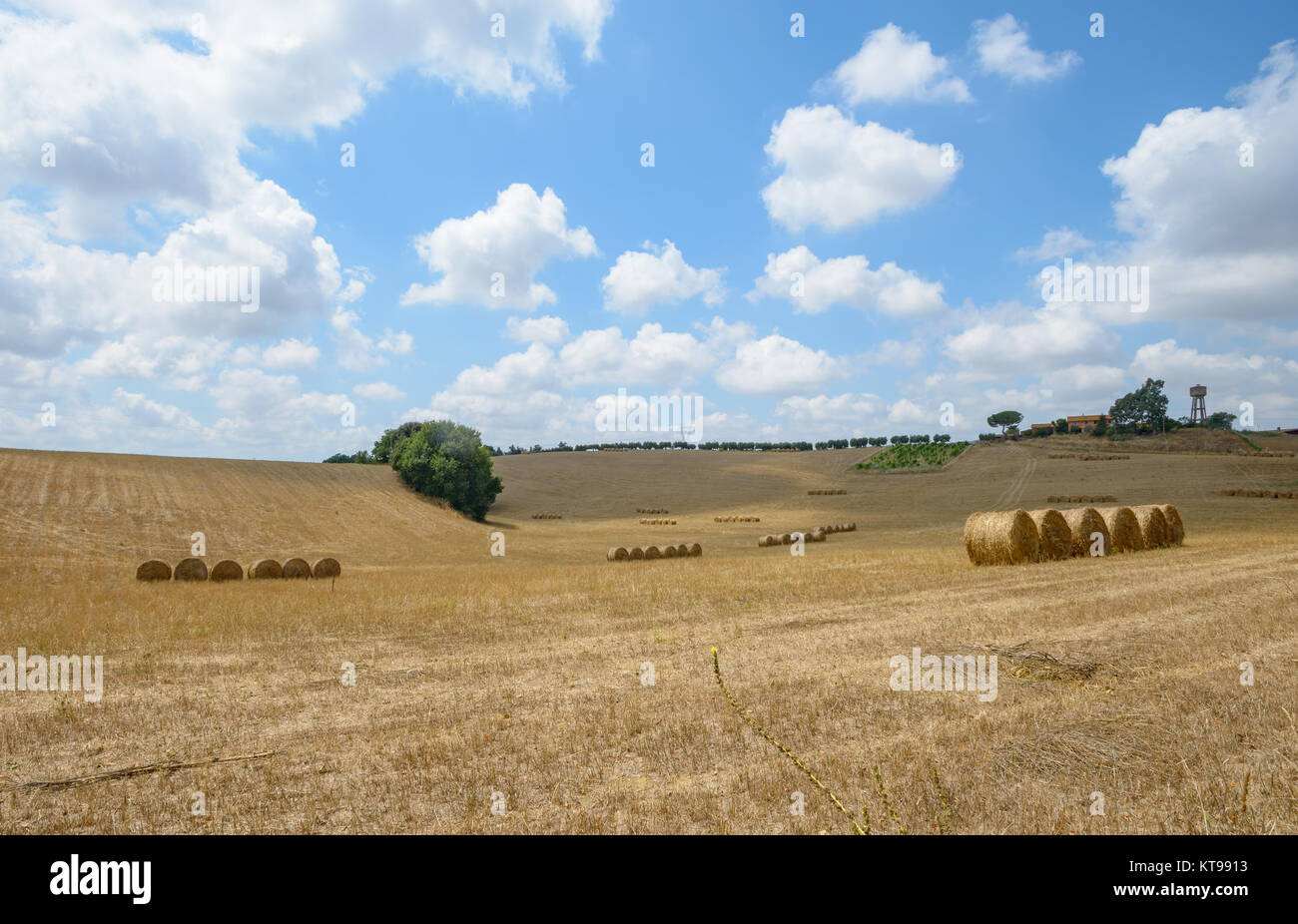 Hayball hi-res stock photography and images - Alamy