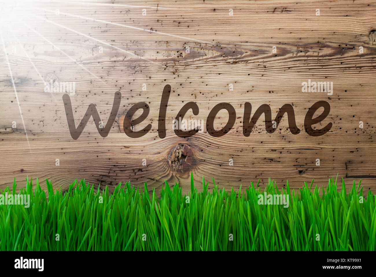 English Text Welcome. Spring Season Greeting Card. Sunny Aged Wooden ...