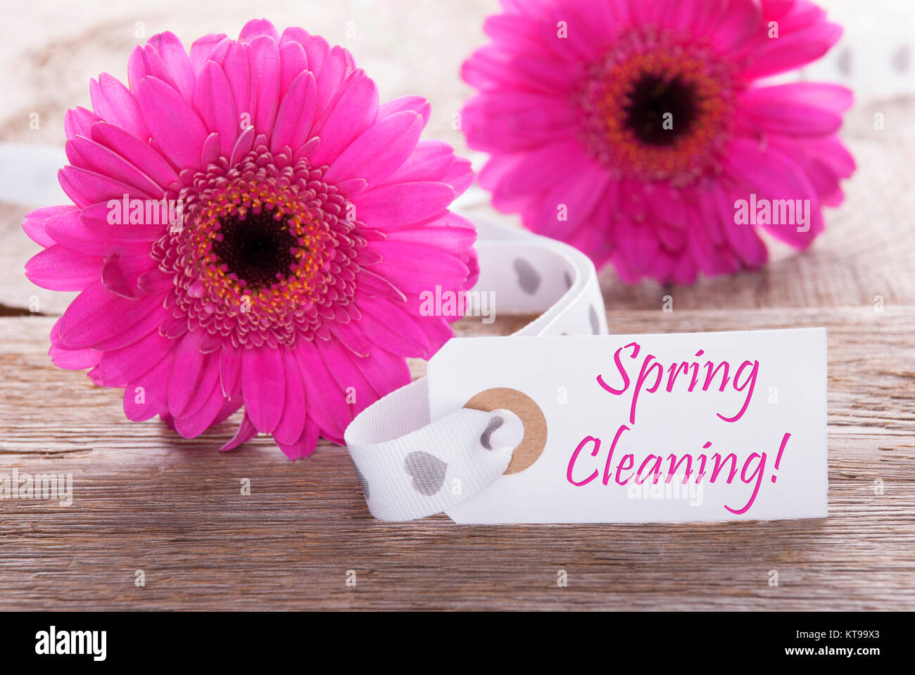 Label With English Text Spring Cleaning. Pink Spring Gerbera Blossom ...