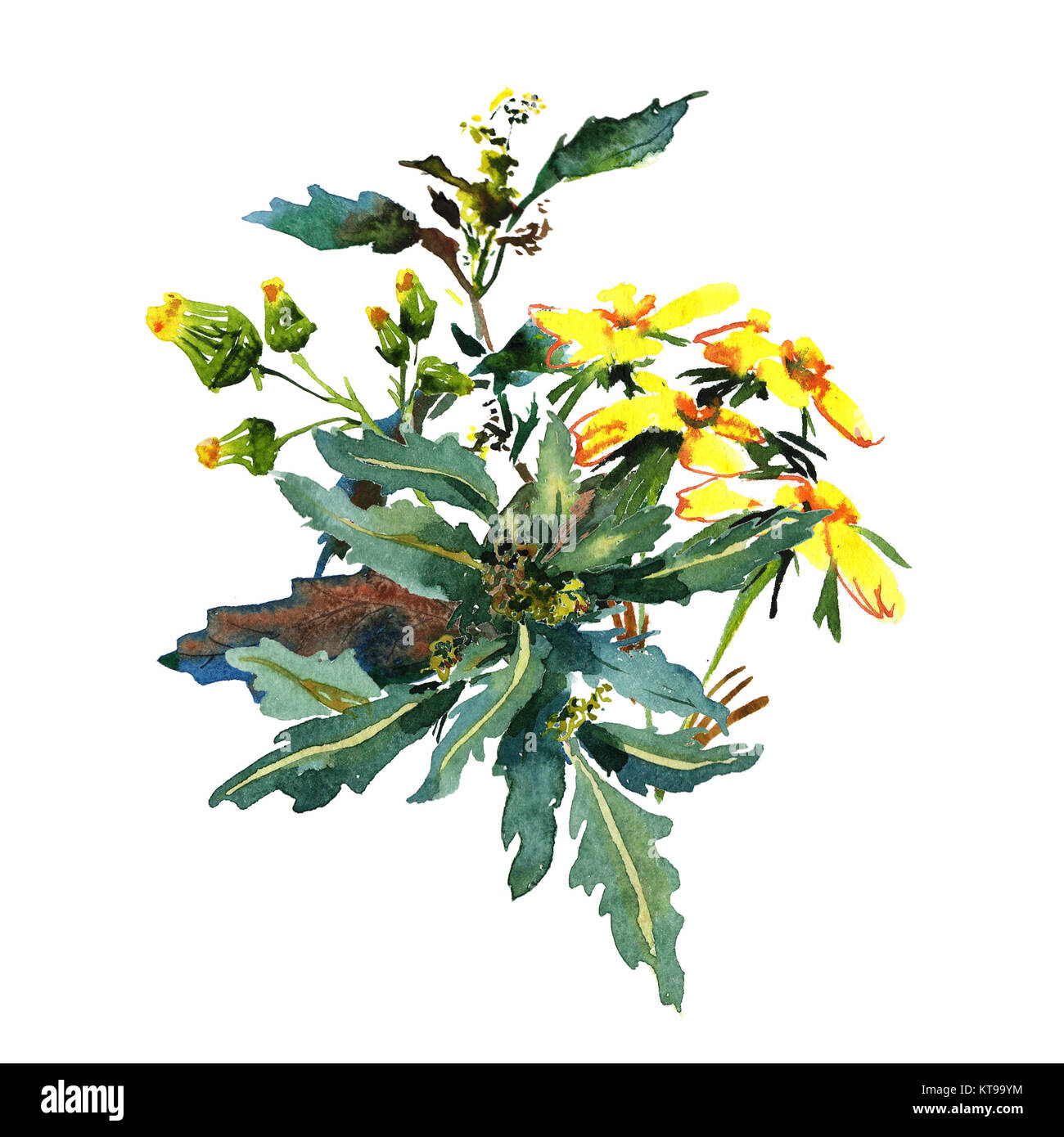 Ornament beautiful pattern mandala Cut Out Stock Images & Pictures - Alamy