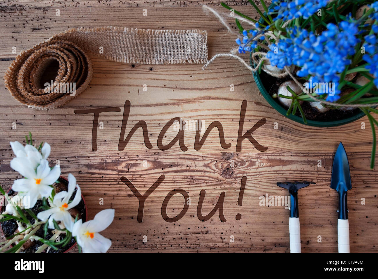 English Text Thank You. Spring Flowers Like Grape Hyacinth And Crocus ...