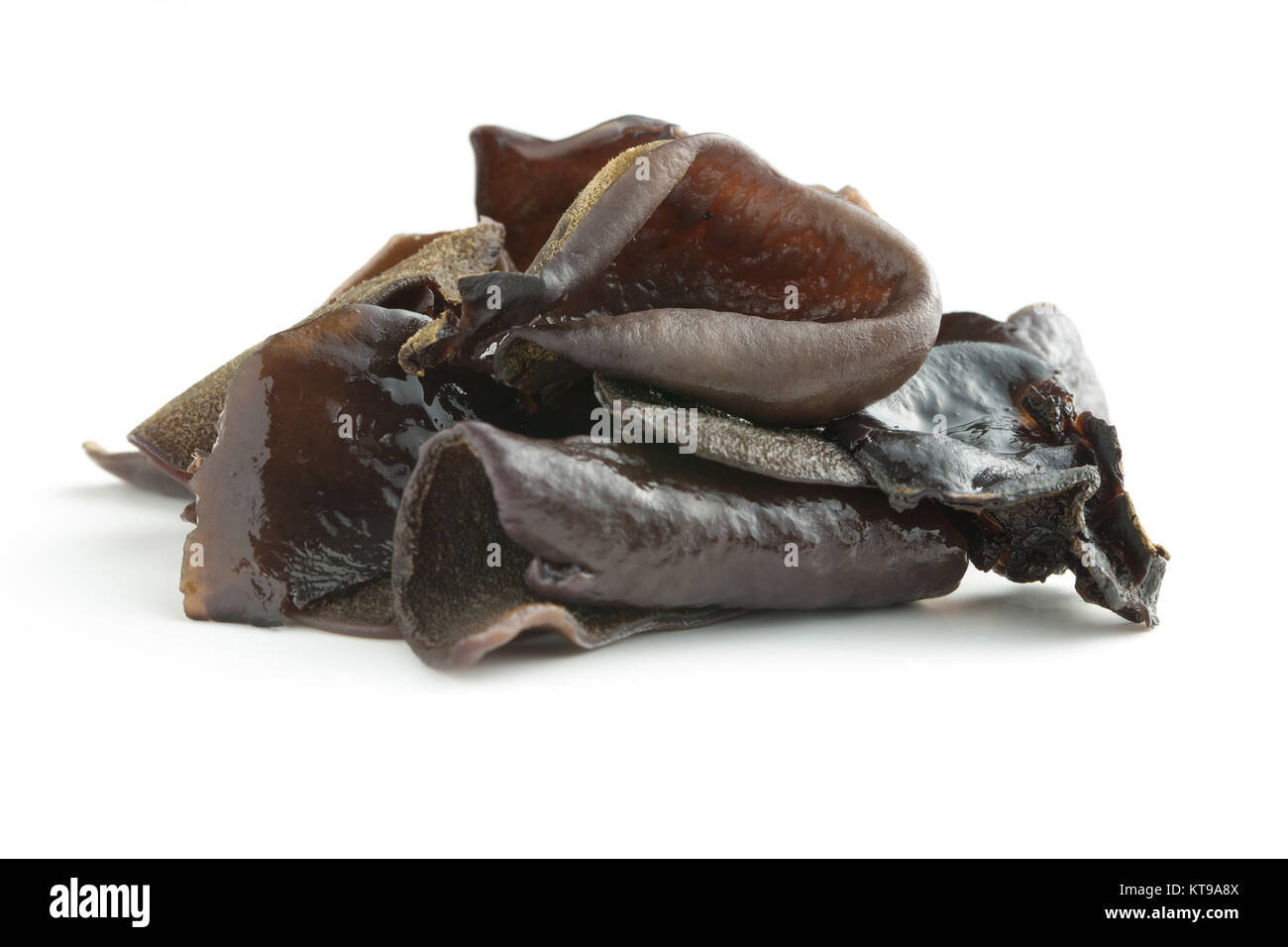 The mushroom jew's ear Stock Photo - Alamy