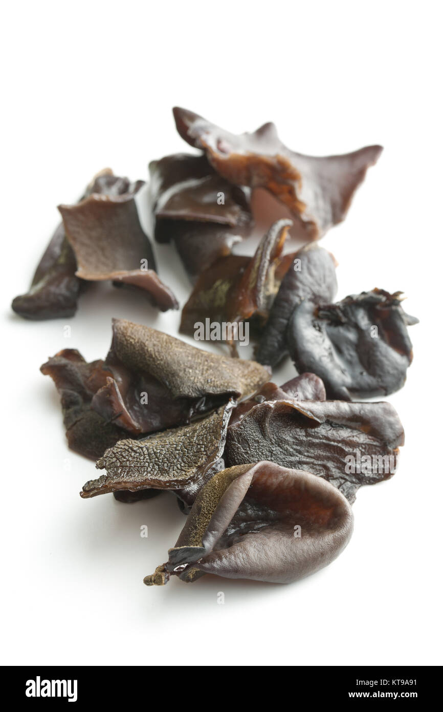 The mushroom jew's ear Stock Photo - Alamy