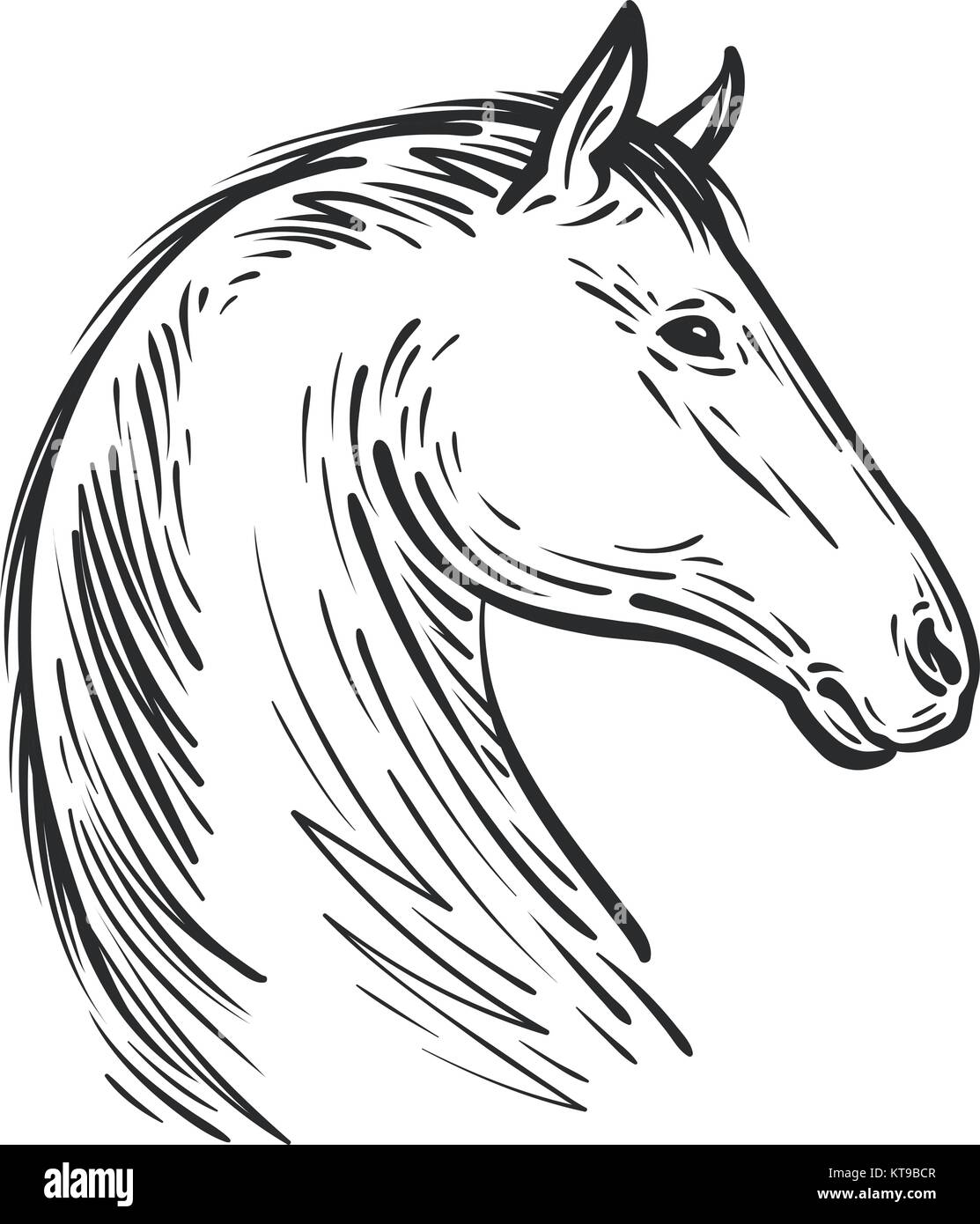 Farm sport Stock Vector Images - Alamy