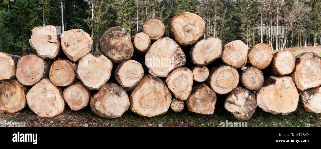 Labeled Tree High Resolution Stock Photography and Images - Alamy
