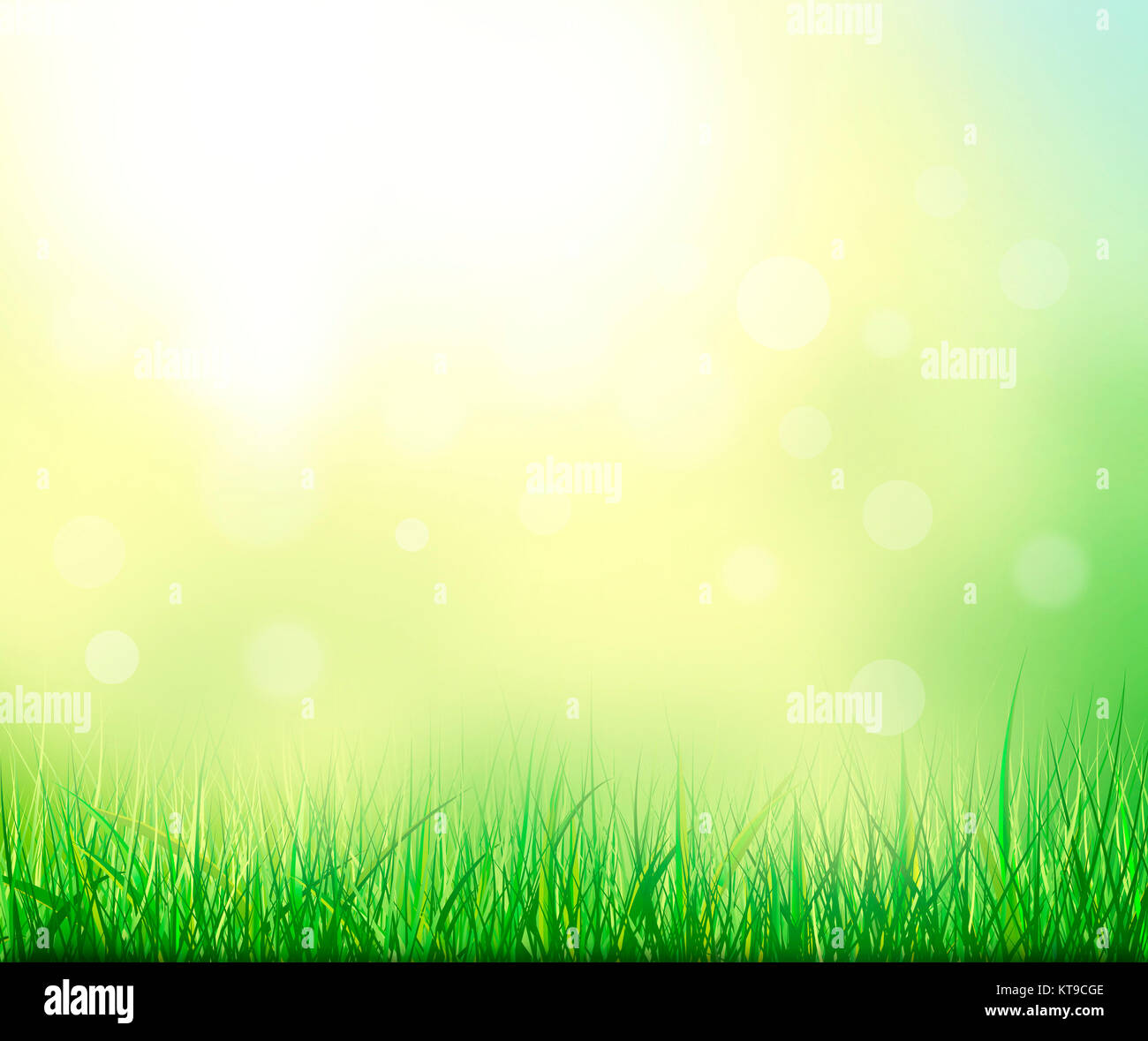 Summer nature background Stock Photo - Alamy