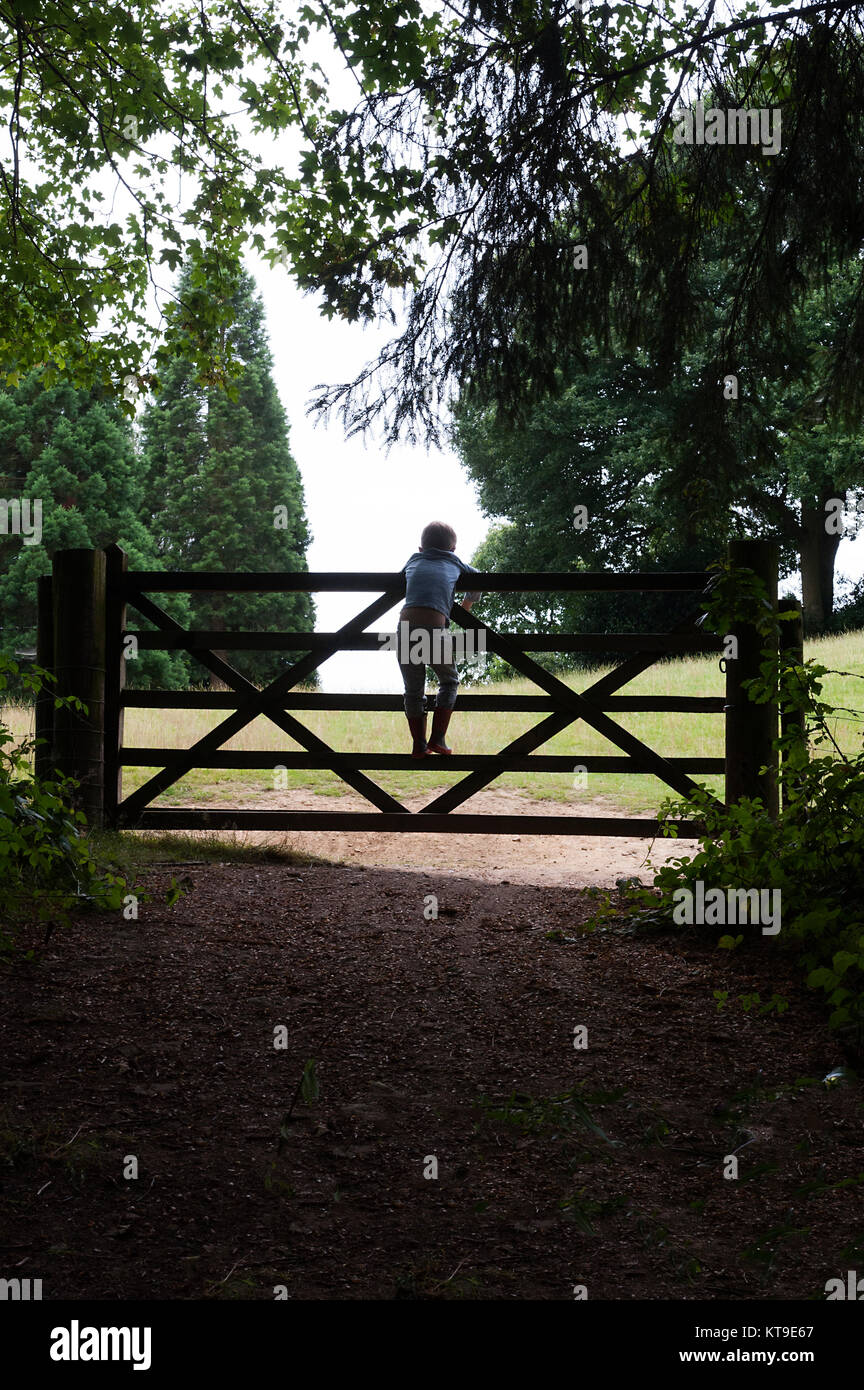 little boy stands on a gate in a country lane Stock Photo - Alamy