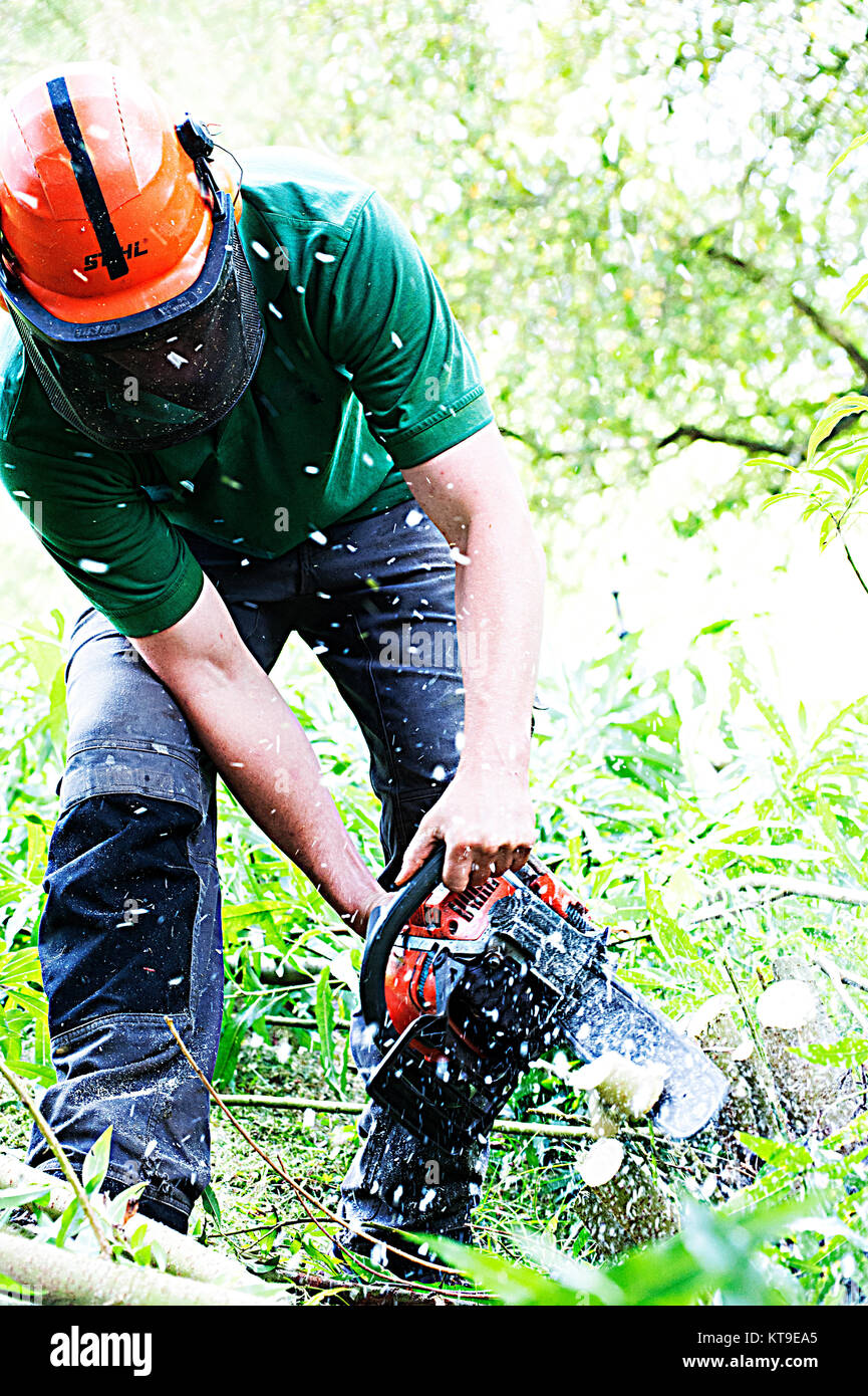 Chainsaw and tree surgeon hi-res stock photography and images - Alamy