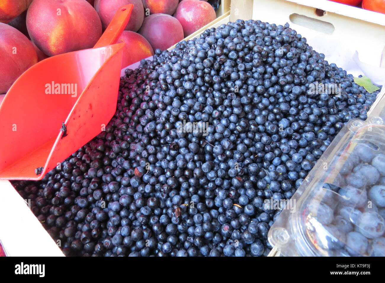 Fresh blueberry at the food market Stock Photo - Alamy