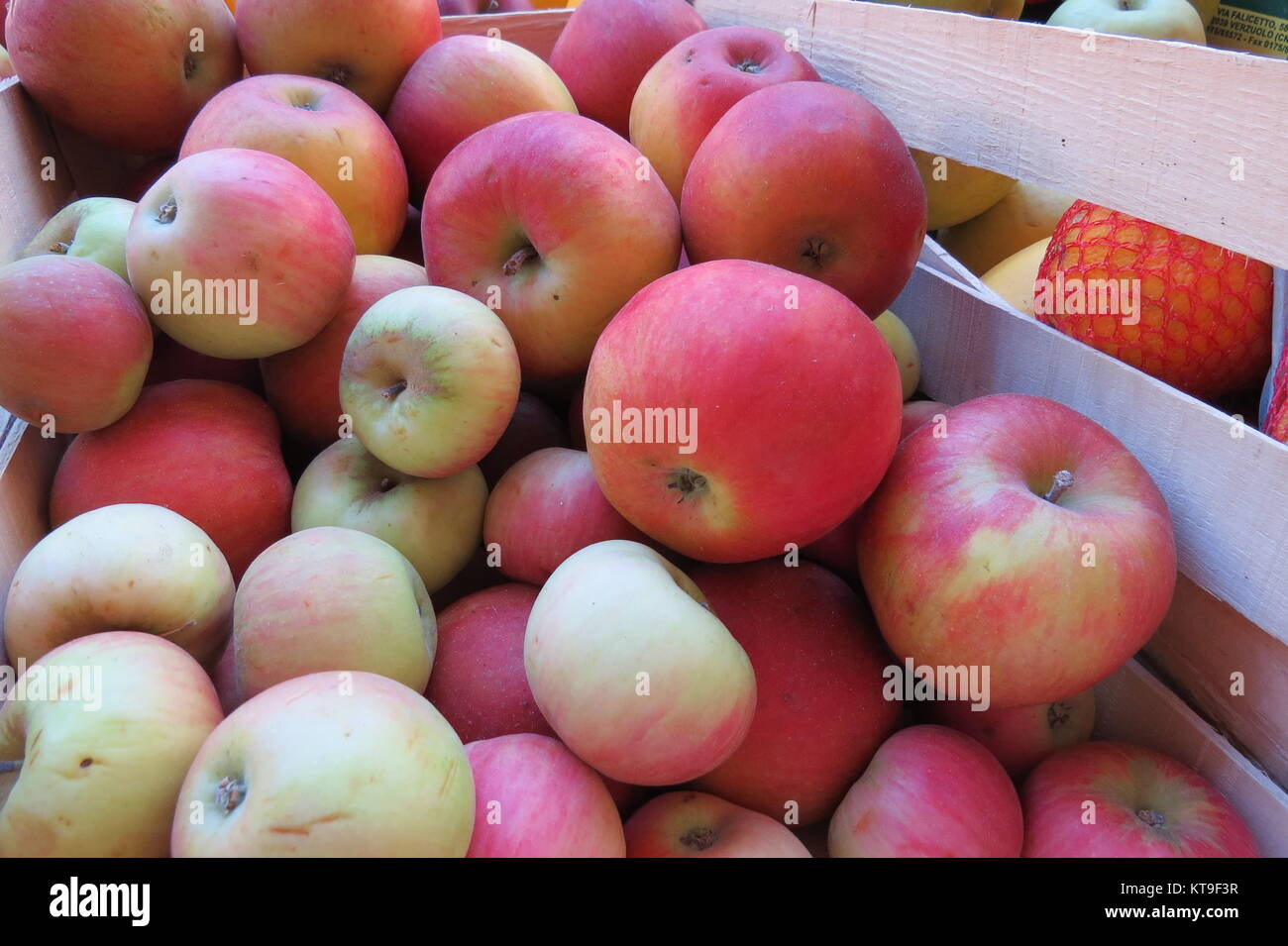 Fresh red apples at the food market Stock Photo - Alamy