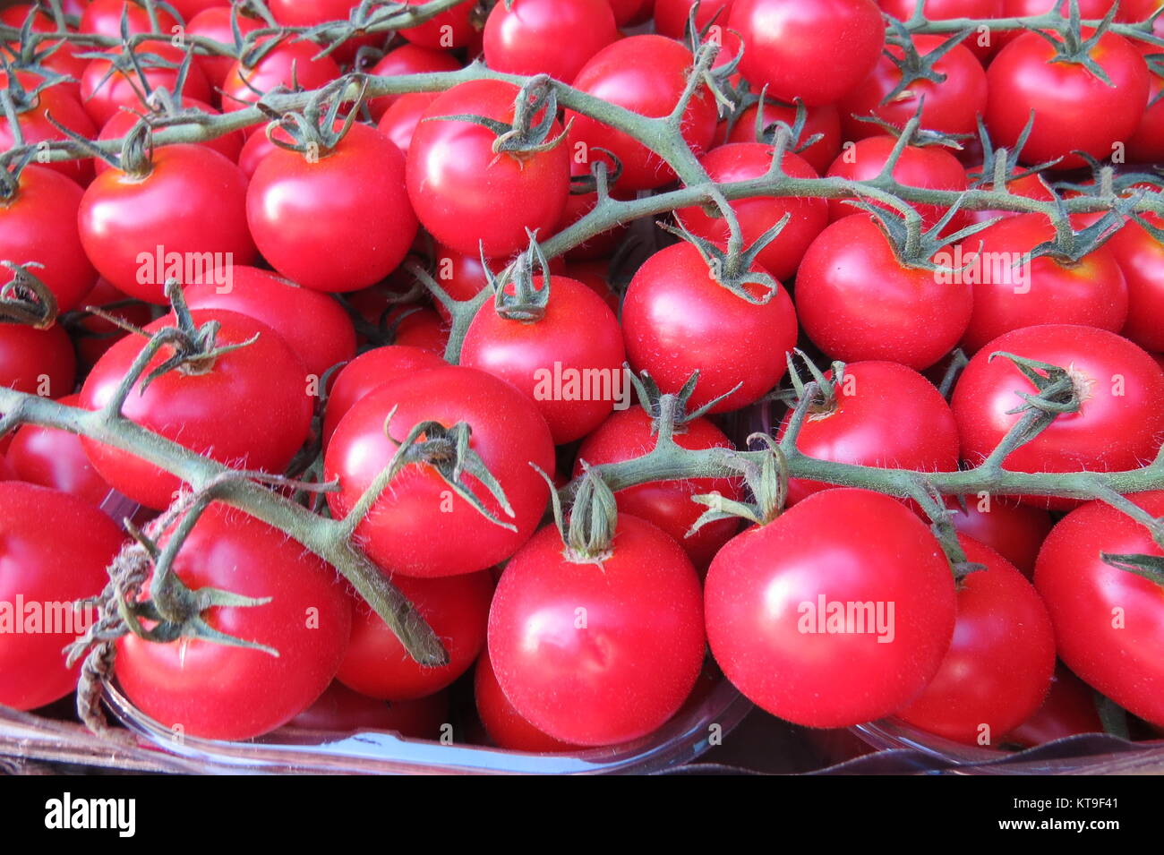 Small red tomatoes Stock Photo - Alamy