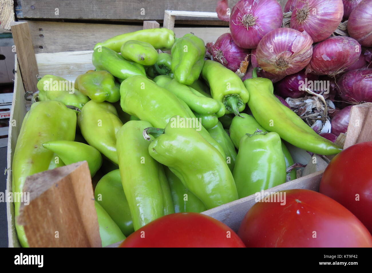 Green bell pepper (green bulgarian pepper Stock Photo - Alamy