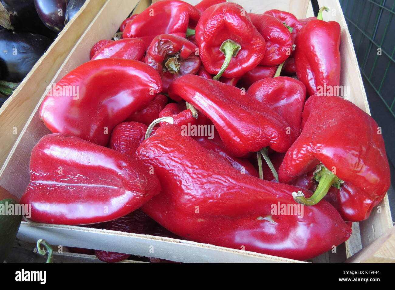 Red bell pepper (red bulgarian pepper Stock Photo - Alamy