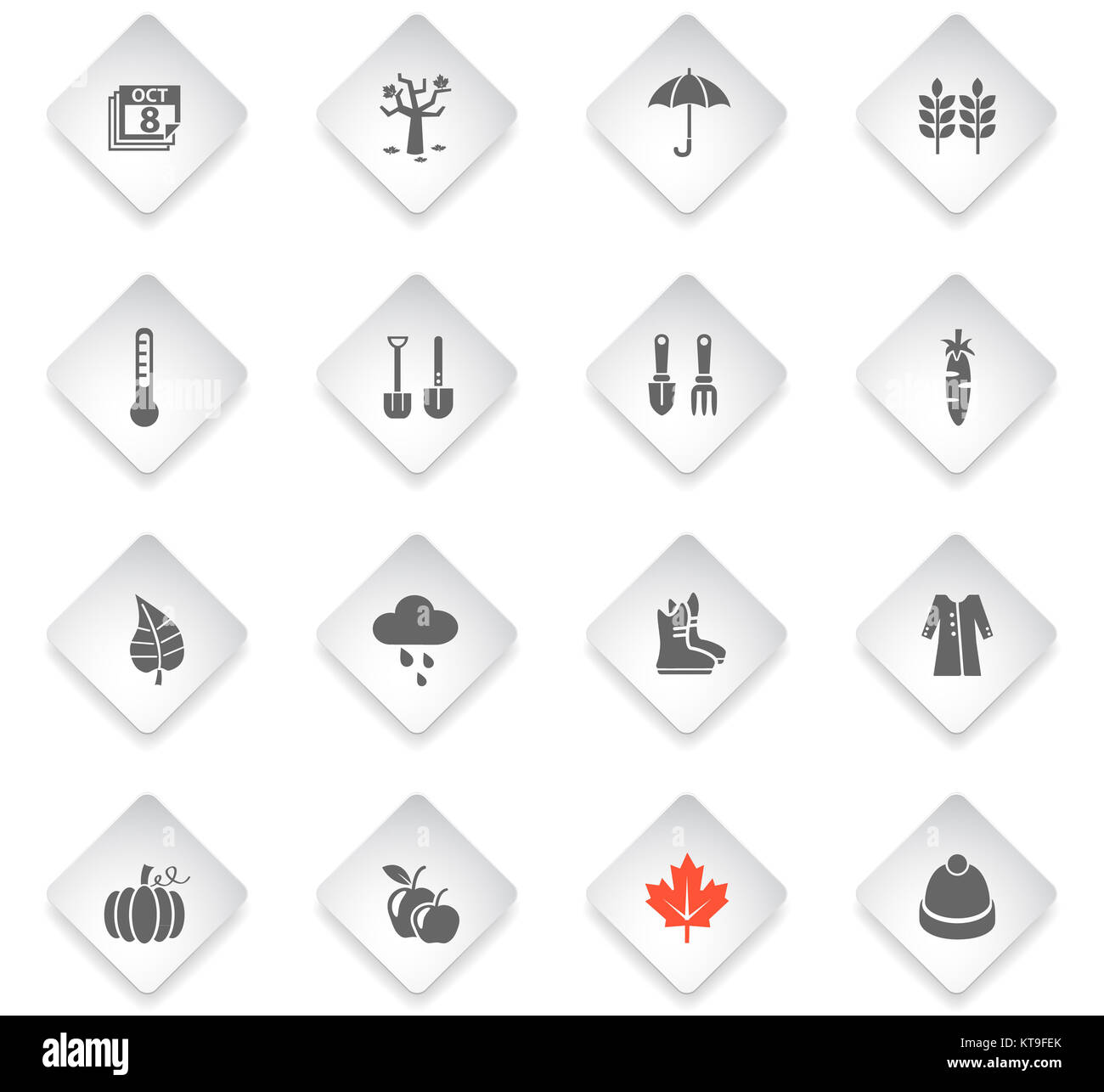 Autmn maple tree hi-res stock photography and images - Alamy